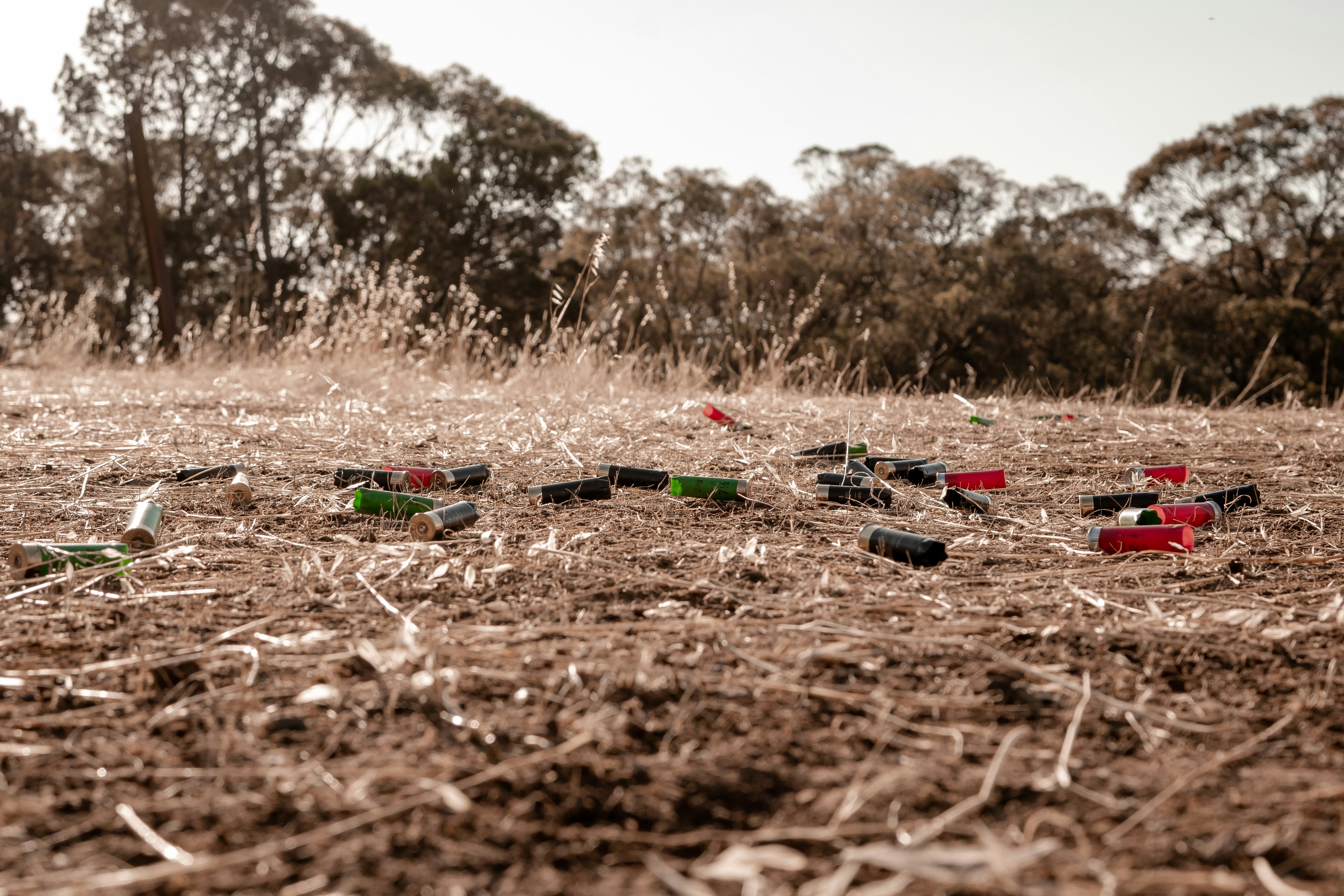Red and black bullet cases on ground photo – Free Bullets Image on Unsplash