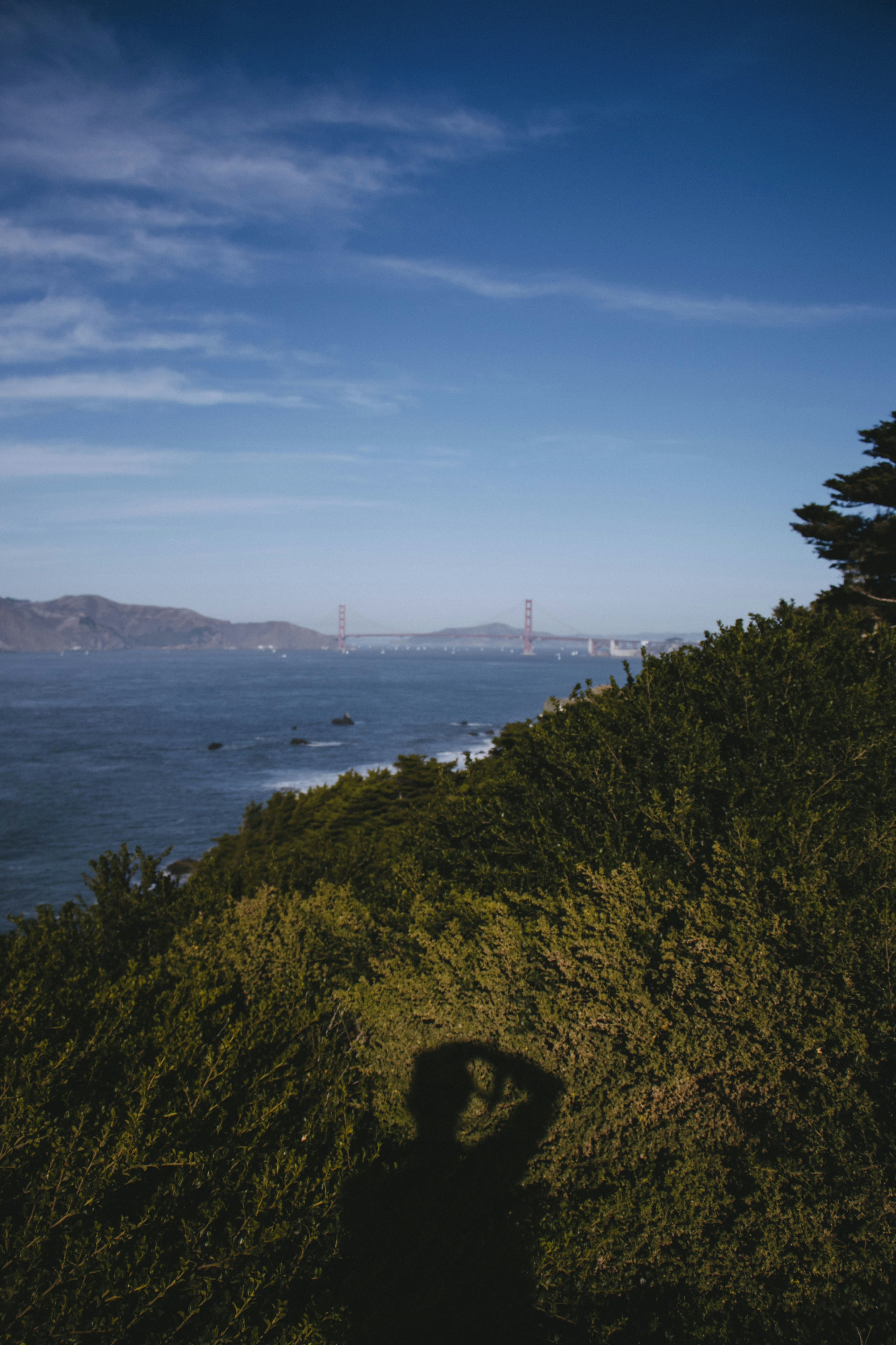 Green-leafed trees photo – Free Promontory Image on Unsplash