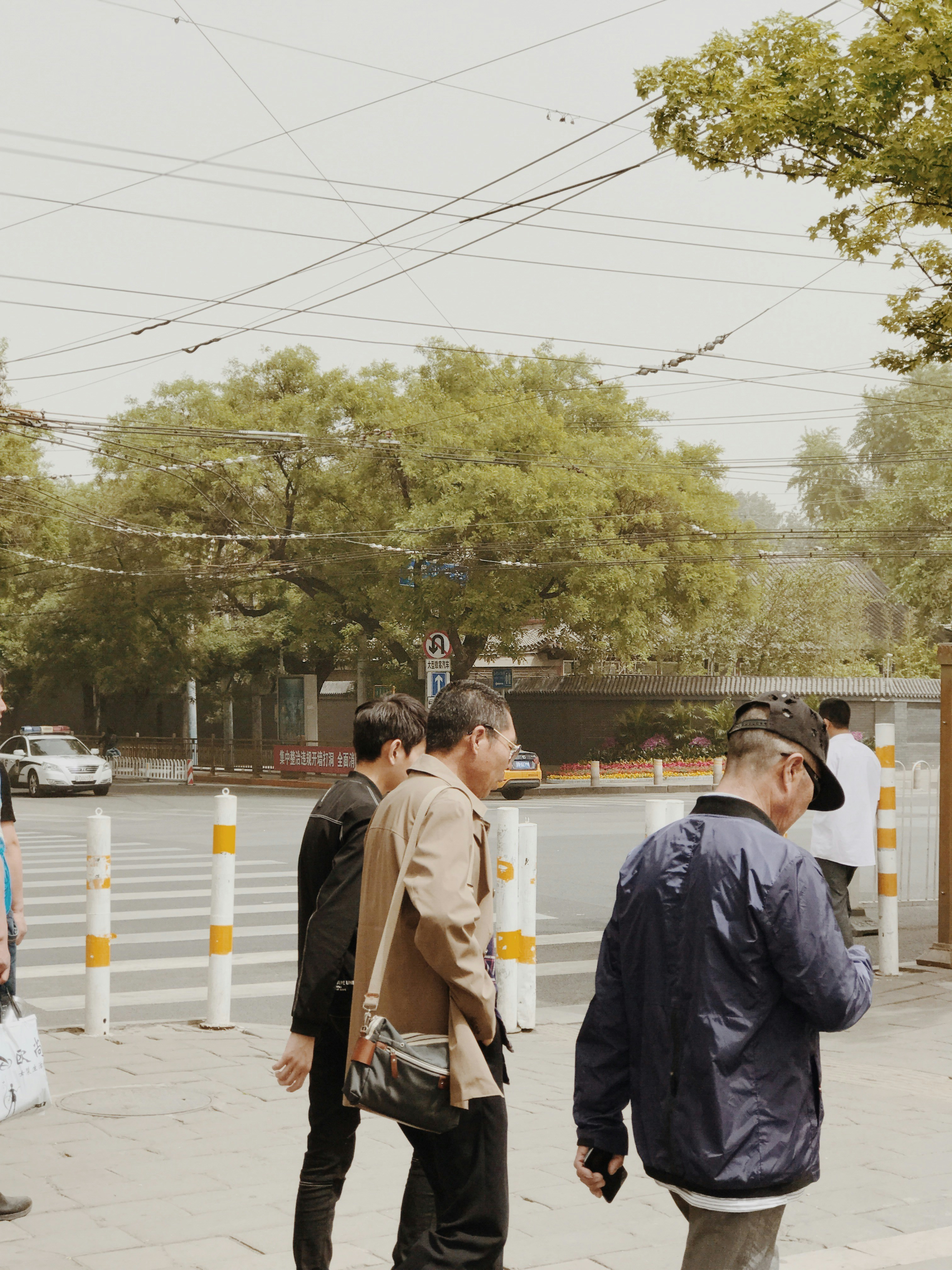 Beige-Coat Crosswalk: Pedestrians Beneath a Web of Wires
