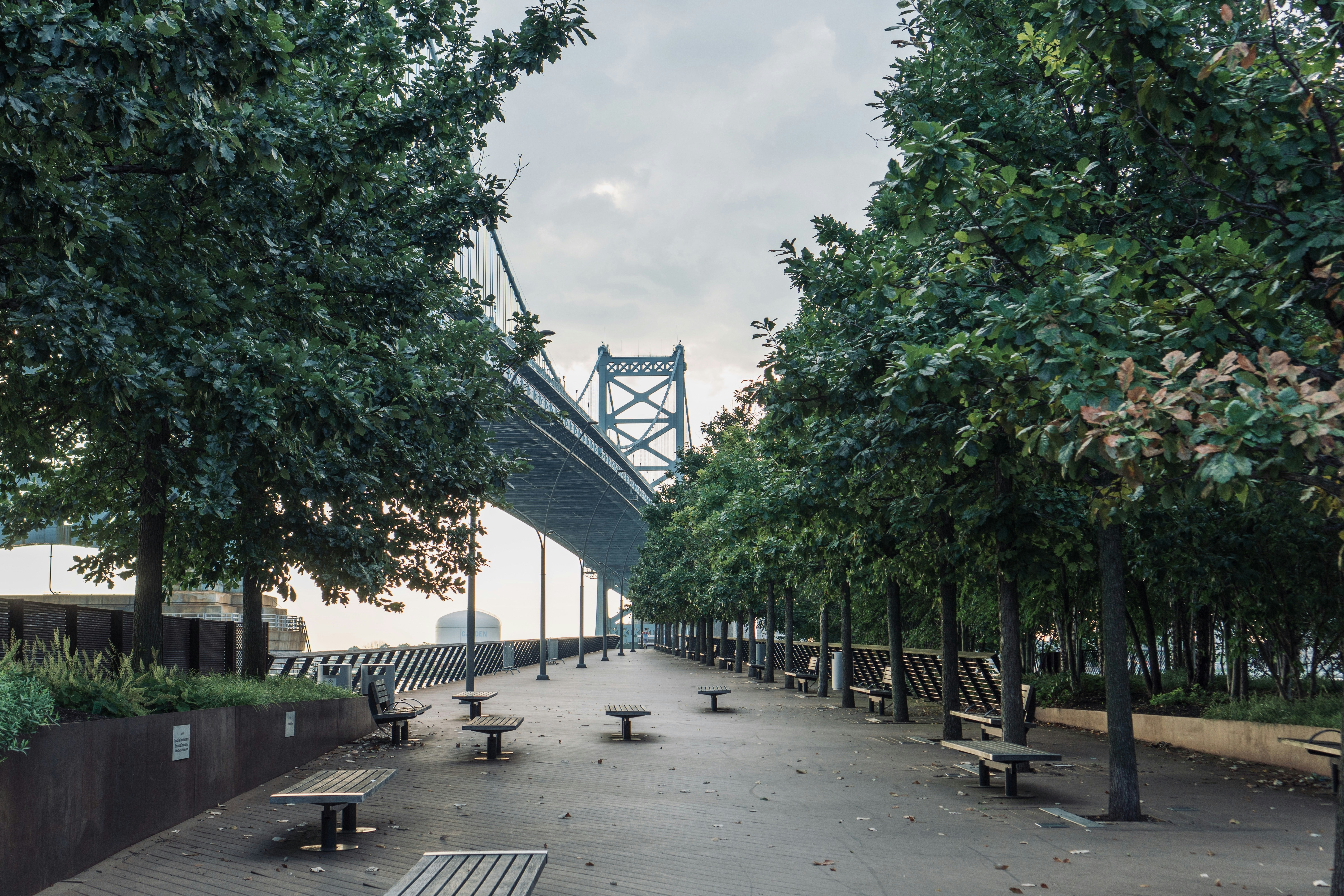 Pathway lined with trees and benches under a large bridge, creating a serene urban park atmosphere.