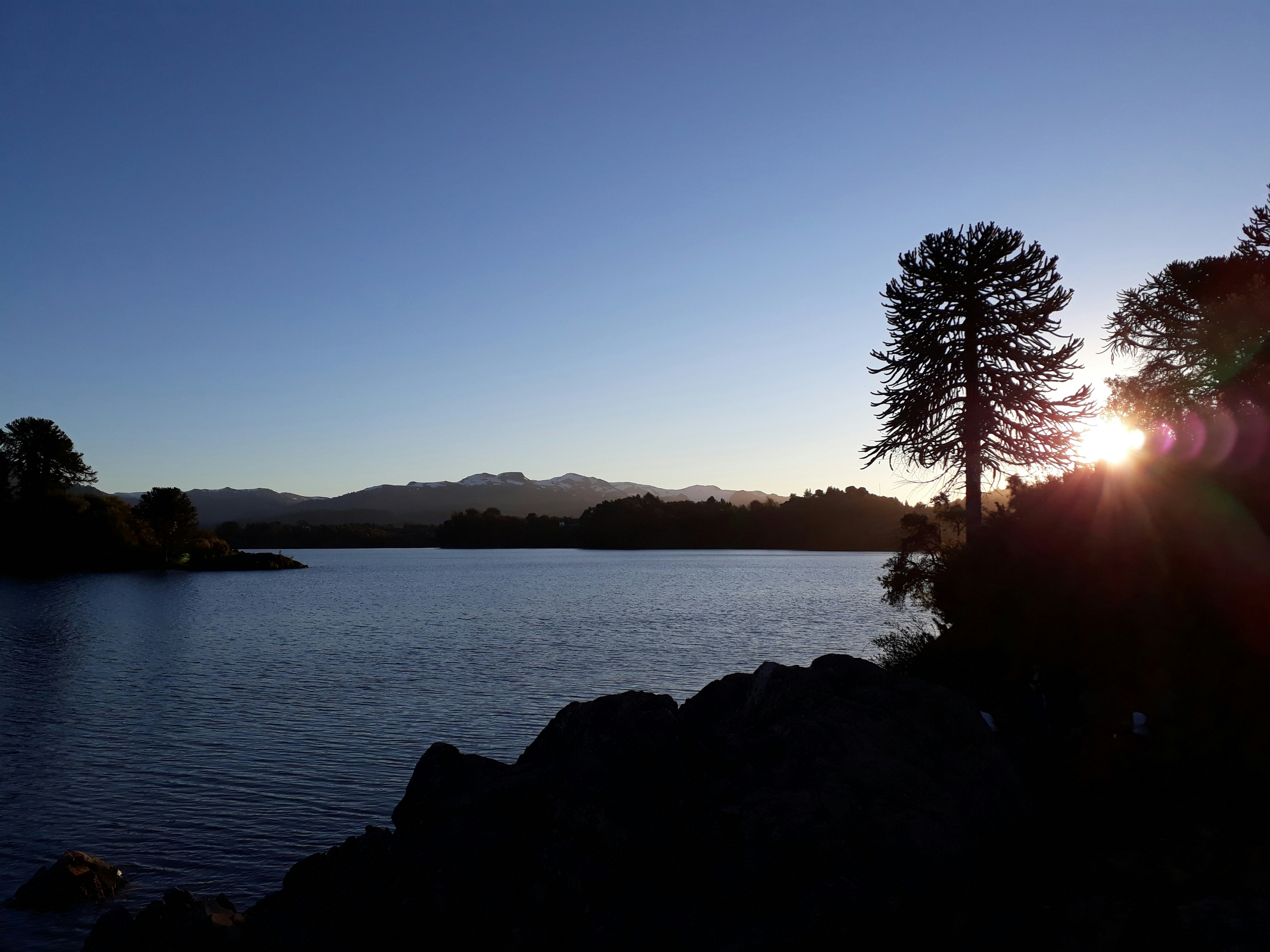 Photograph of a calm lake at dusk, with silhouetted pines and rocky shoreline, sun peeking through trees on the right.