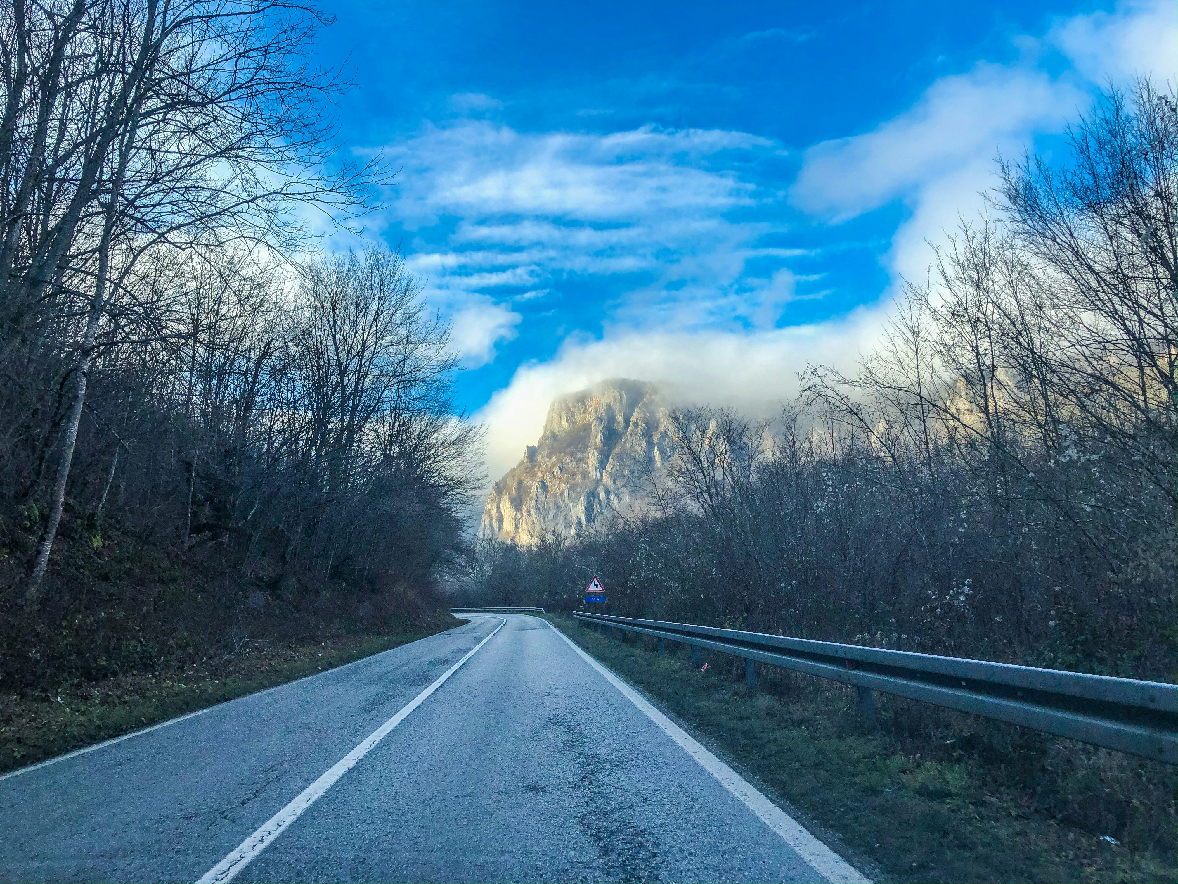 Empty road pavement surrounded with trees photo – Free Road Image on ...