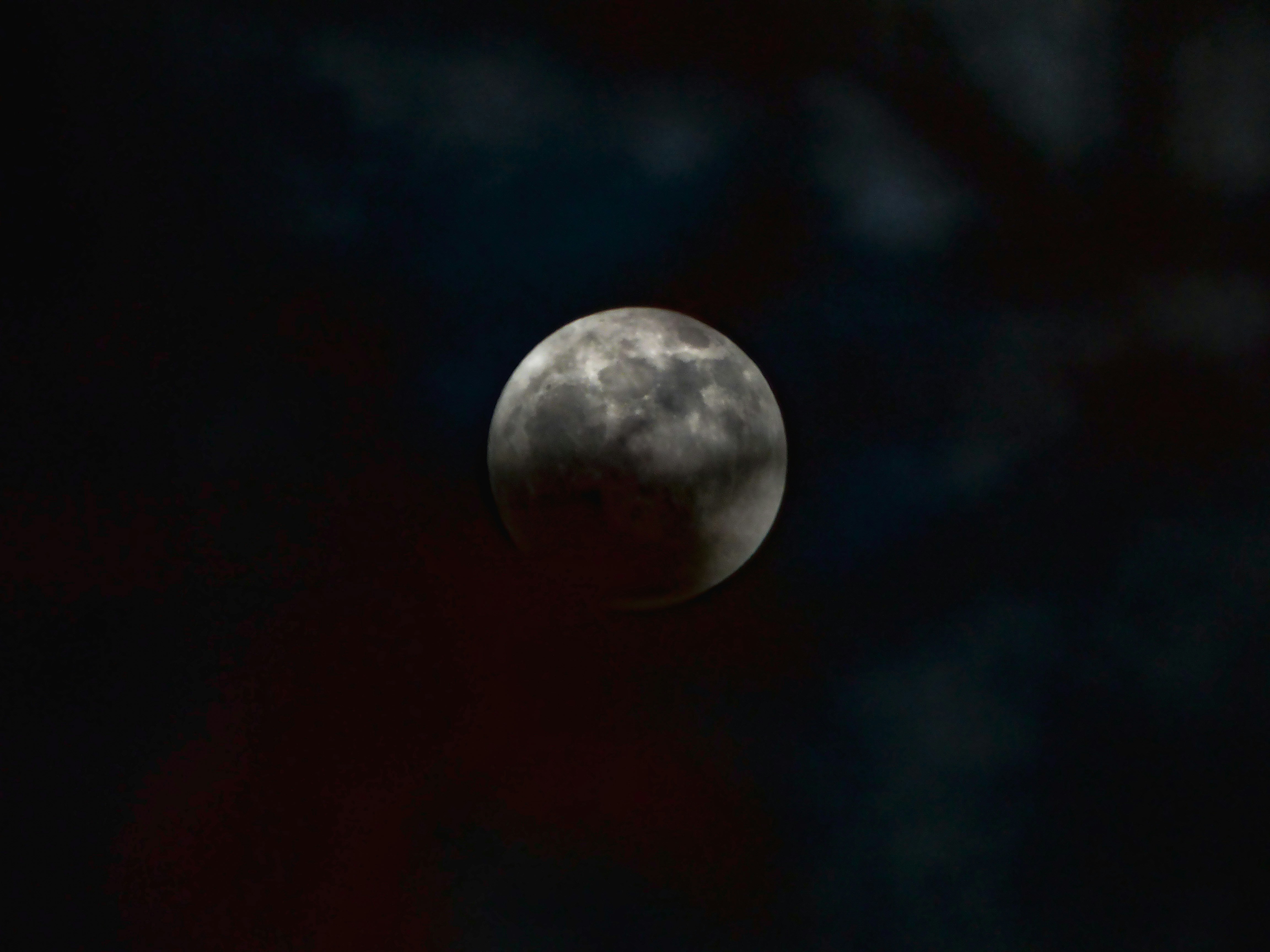 The moon partially obscured by dark branches against a night sky.