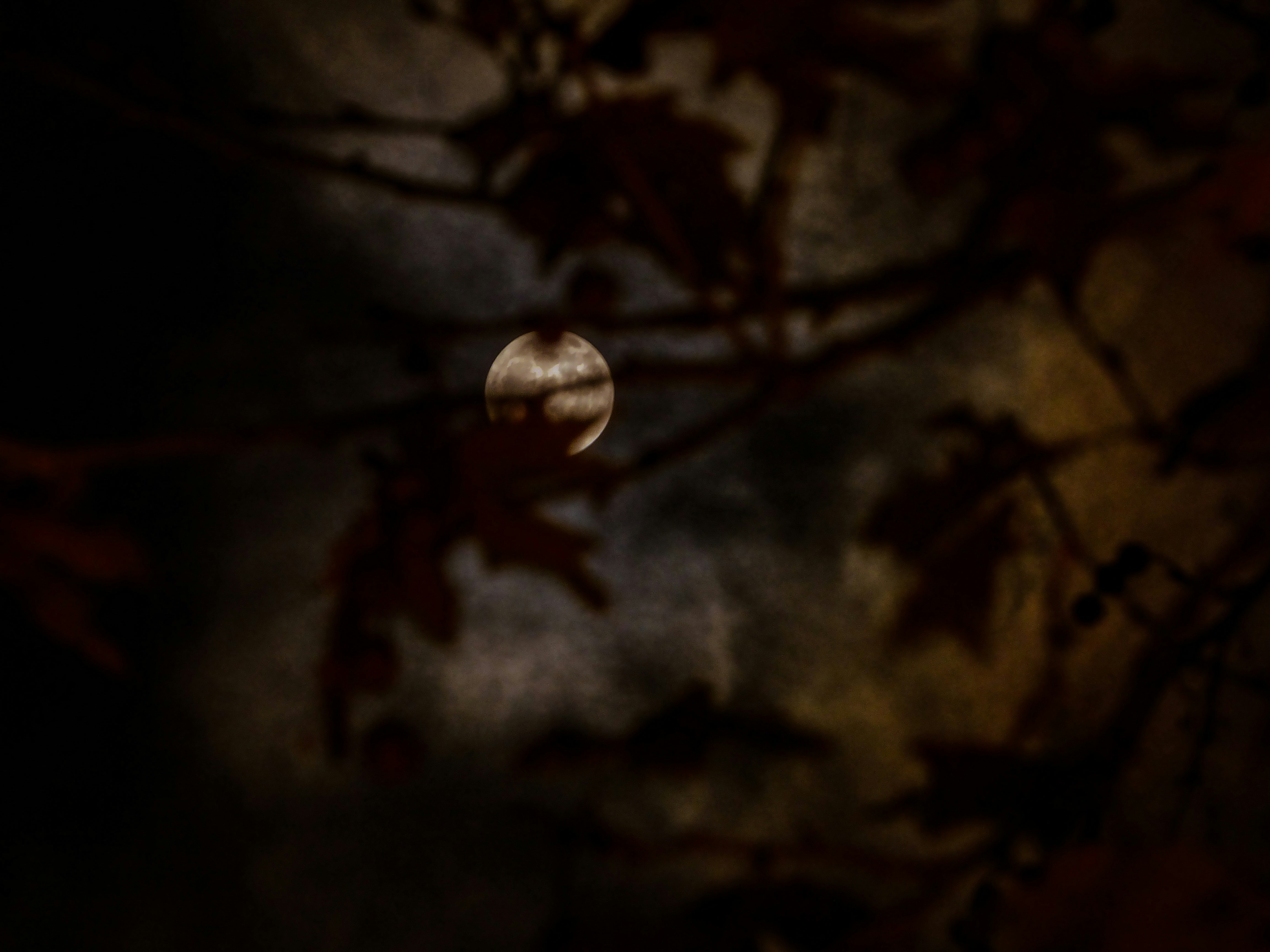 Full moon veiled by clouds and silhouetted branches on an autumn night.