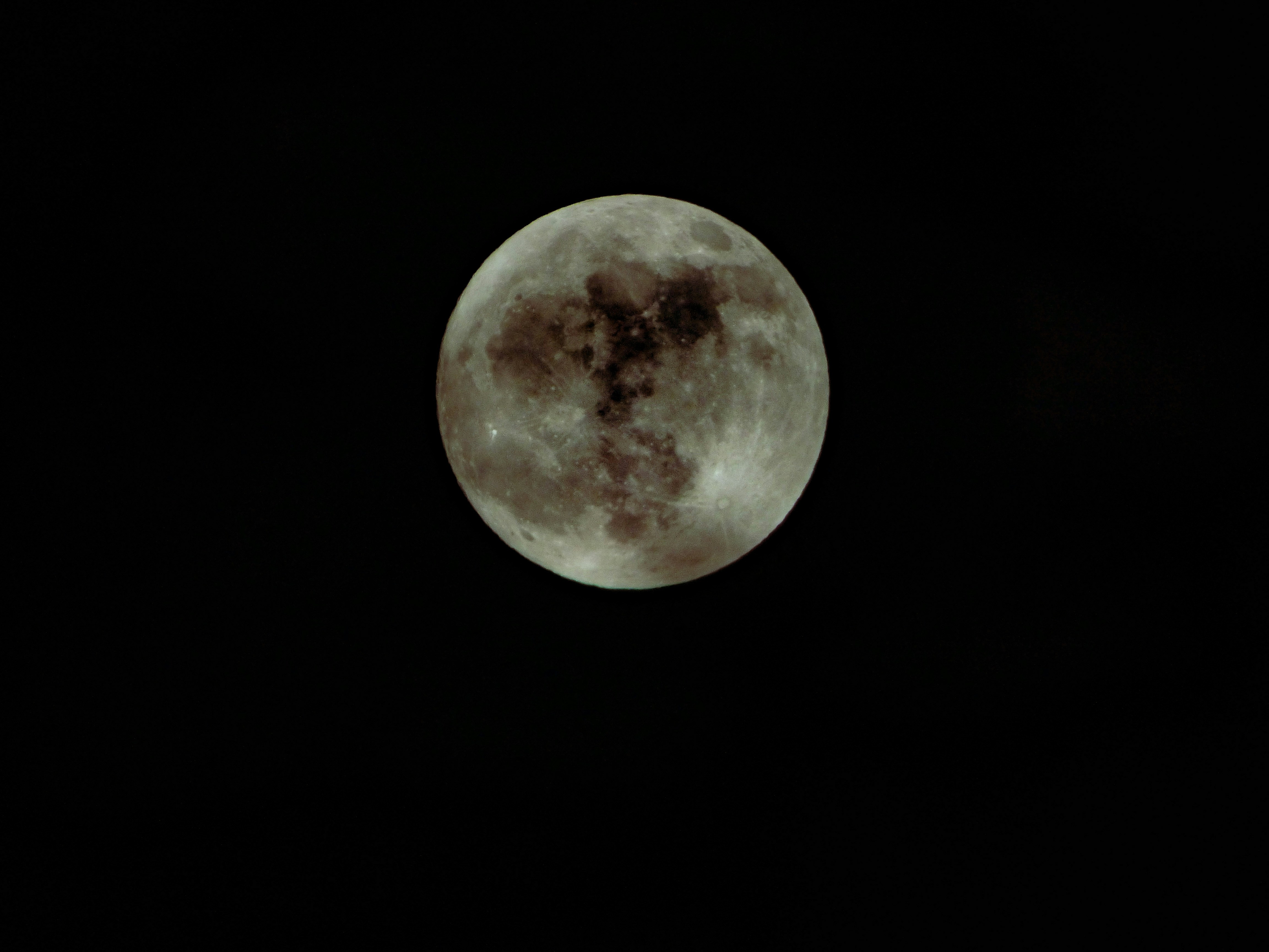 Full moon illuminated with visible surface details against a dark sky.