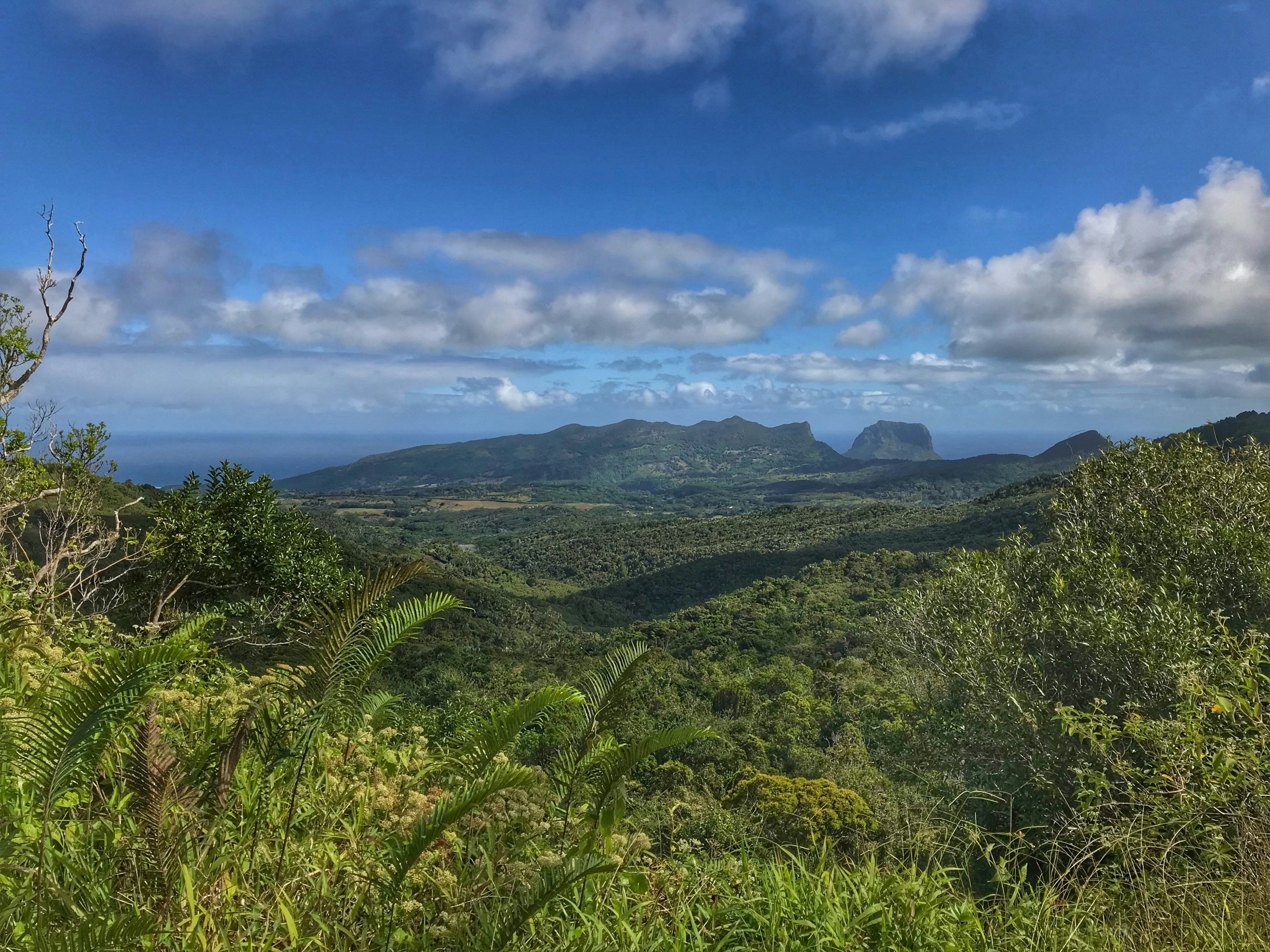 Lush green valleys stretch towards distant mountains under a partly cloudy sky. The scene captures the vibrant essence of nature's untouched beauty.