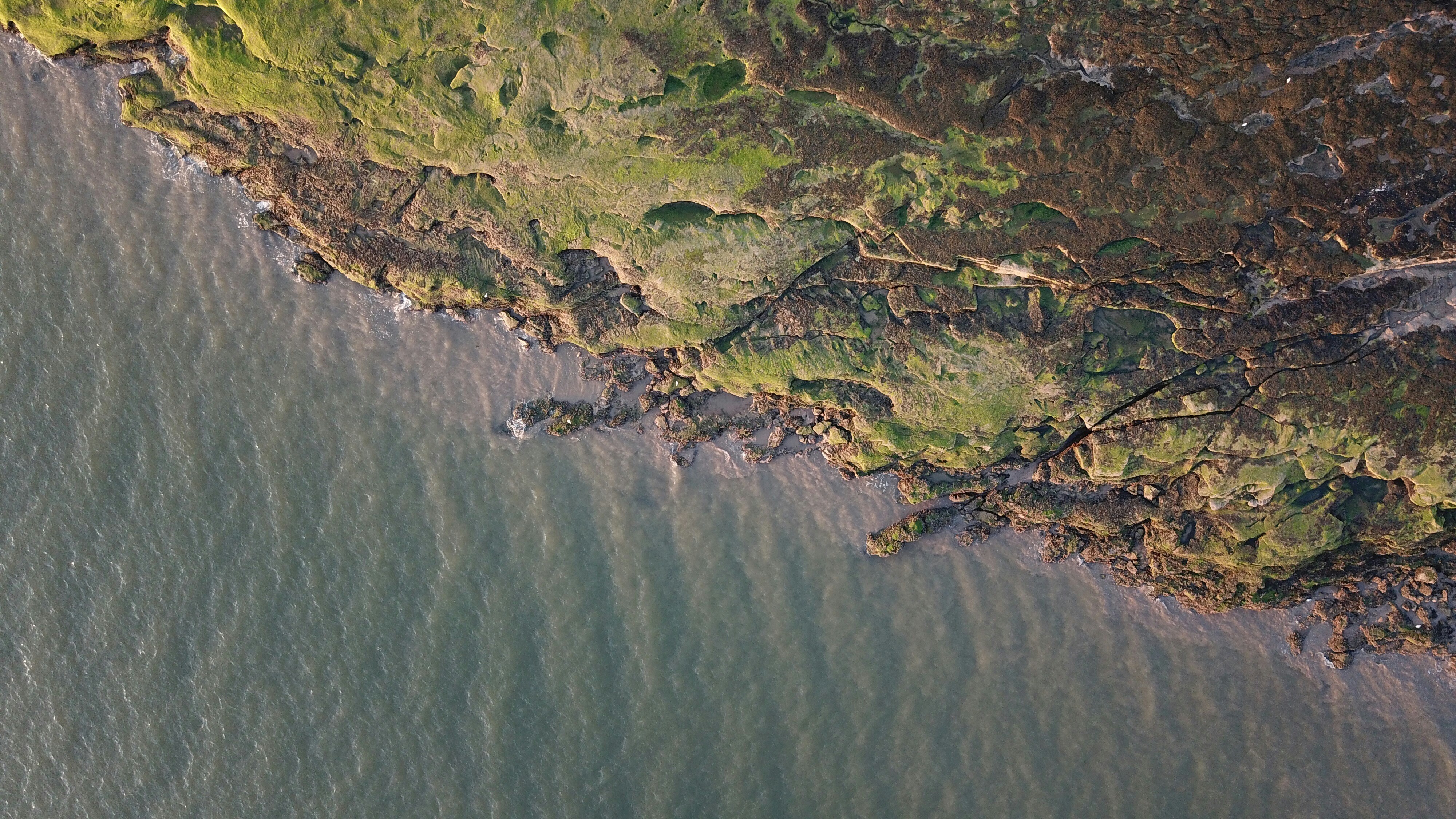 Aerial view of a rugged coastline showcasing the intricate patterns of land and water, with lush greenery contrasting against rocky formations. 