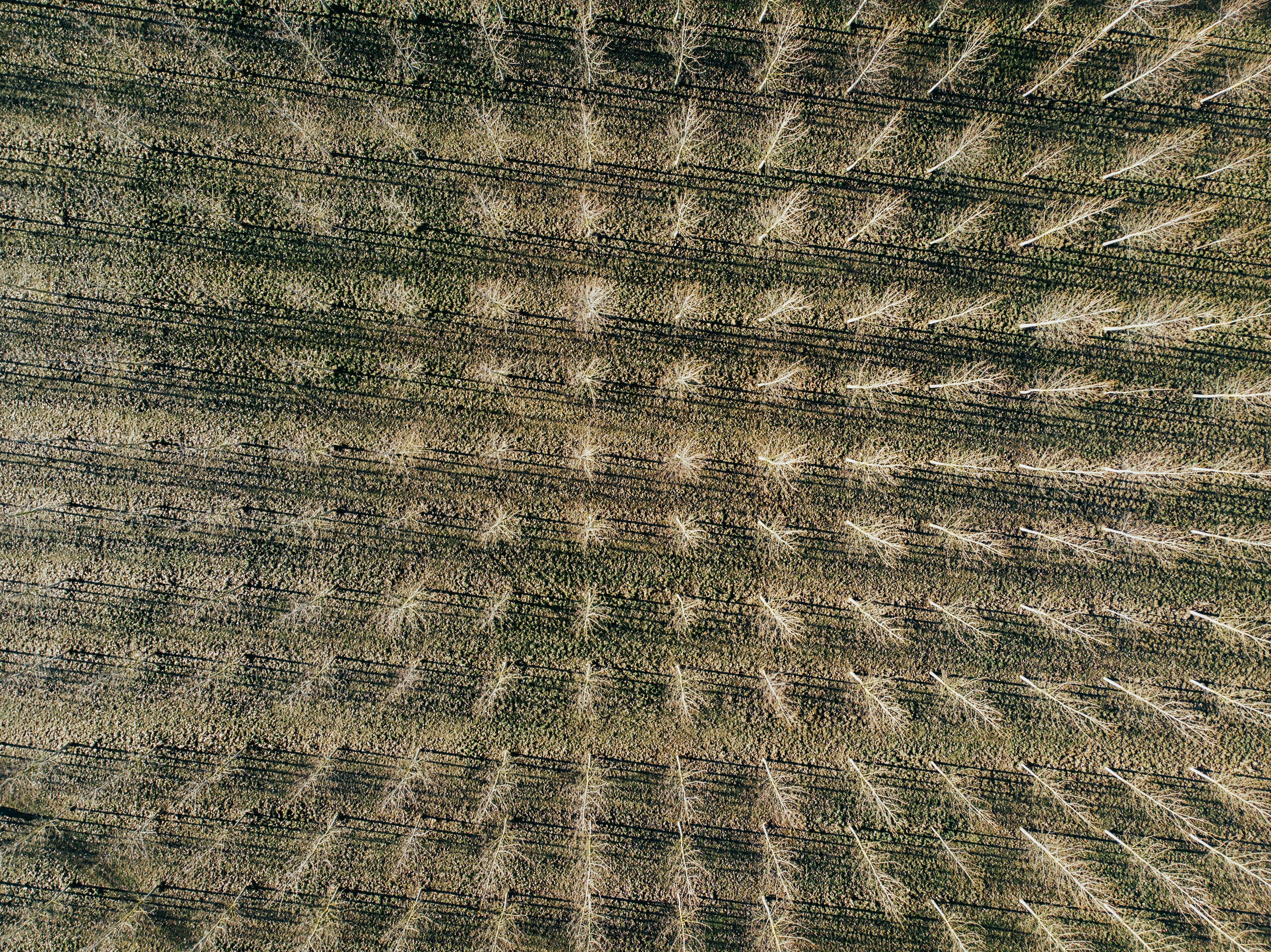 A New Years Eve WalkMatt Seymour