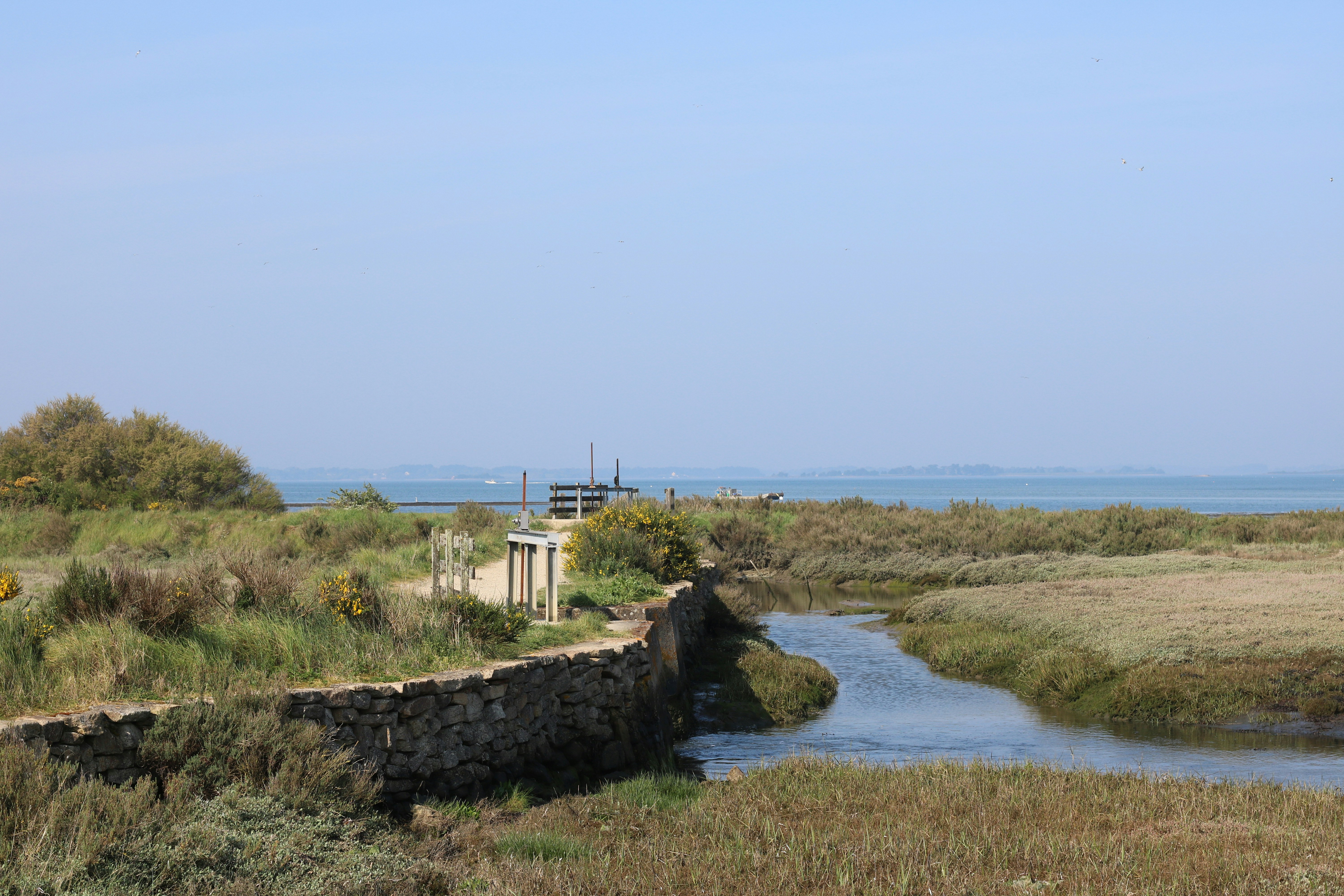 Stone-Walled Promenade: Marsh Channel Welcoming the Open Sea