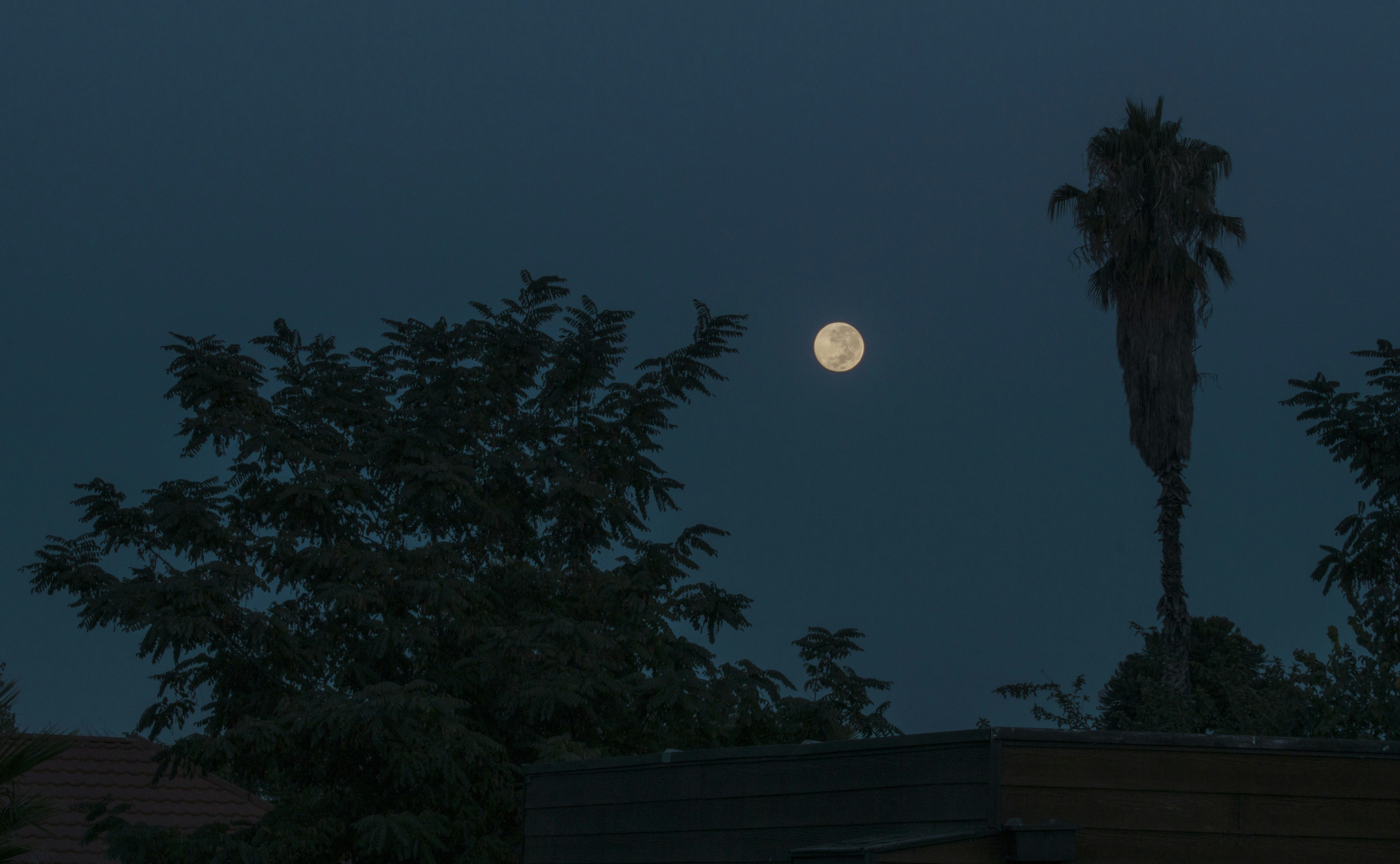 Lua Nascente Fotos | Baixe imagens gratuitas na Unsplash