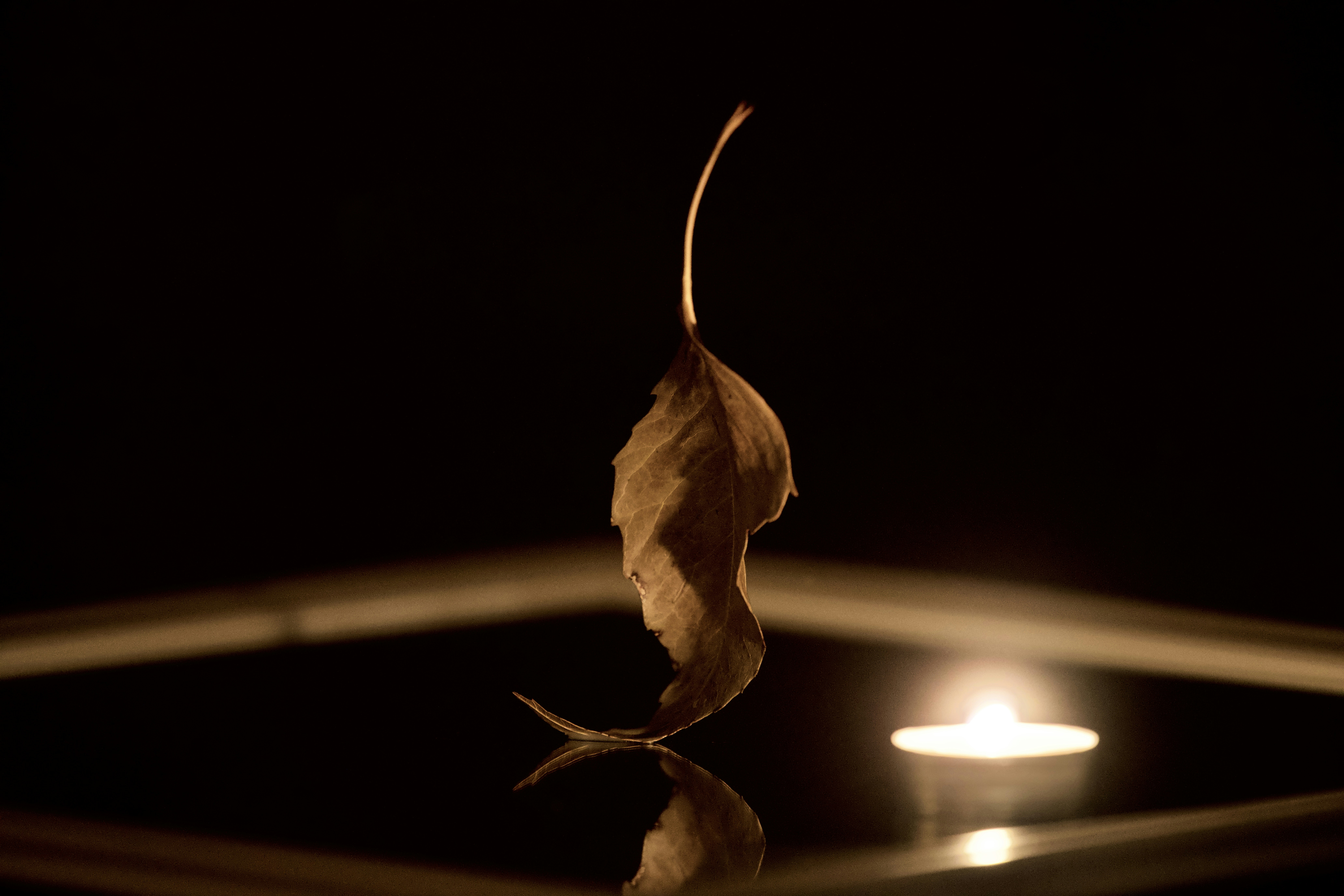 Amber Quiet: A Lone Leaf Balances on Glass Under Candlelight