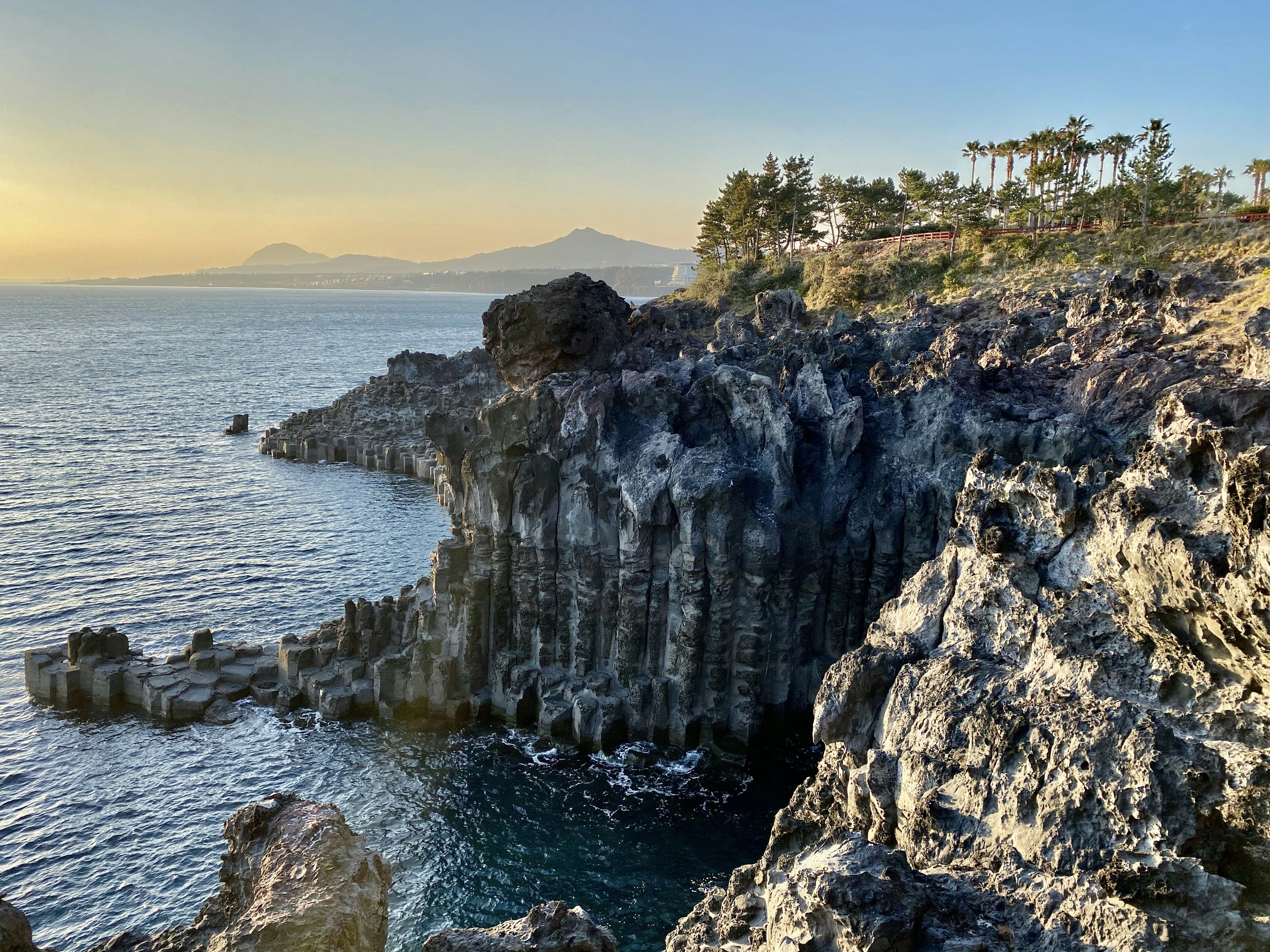 Trees on cliff photo – Free Grey Image on Unsplash