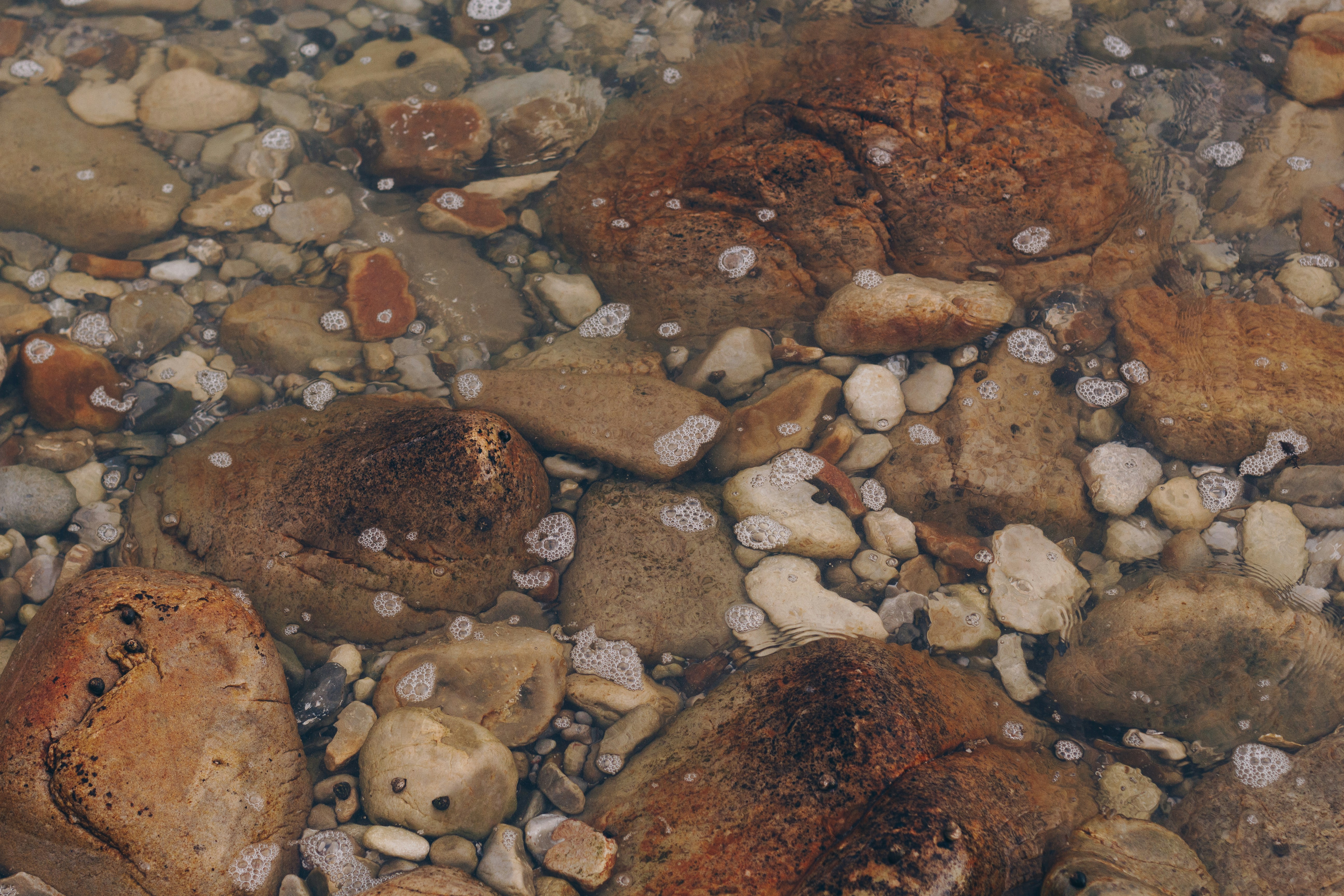 Brown stones photo – Free Struisbaai Image on Unsplash