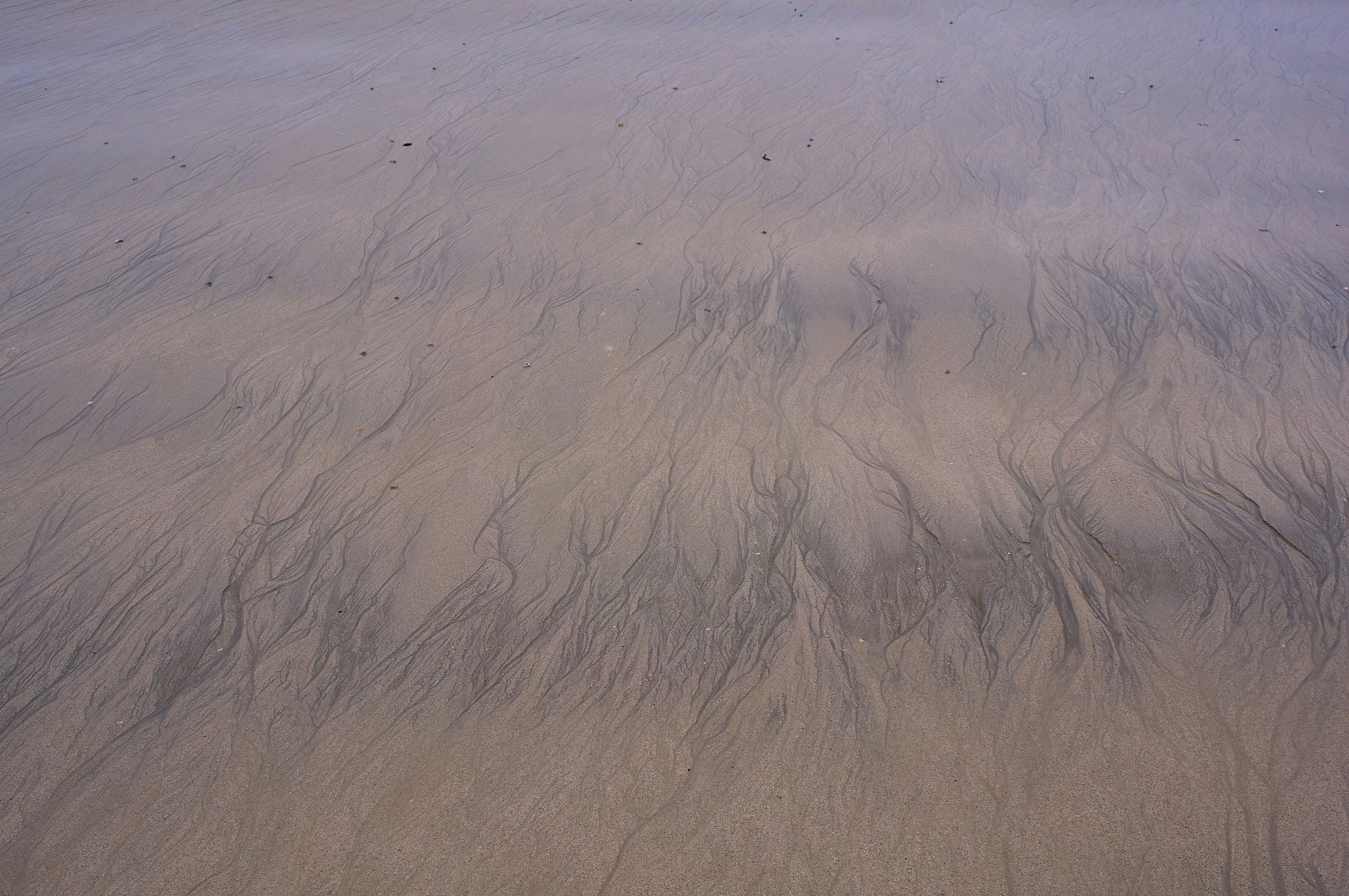 A sandy beach covered in lots of sand photo – Free Grey Image on Unsplash