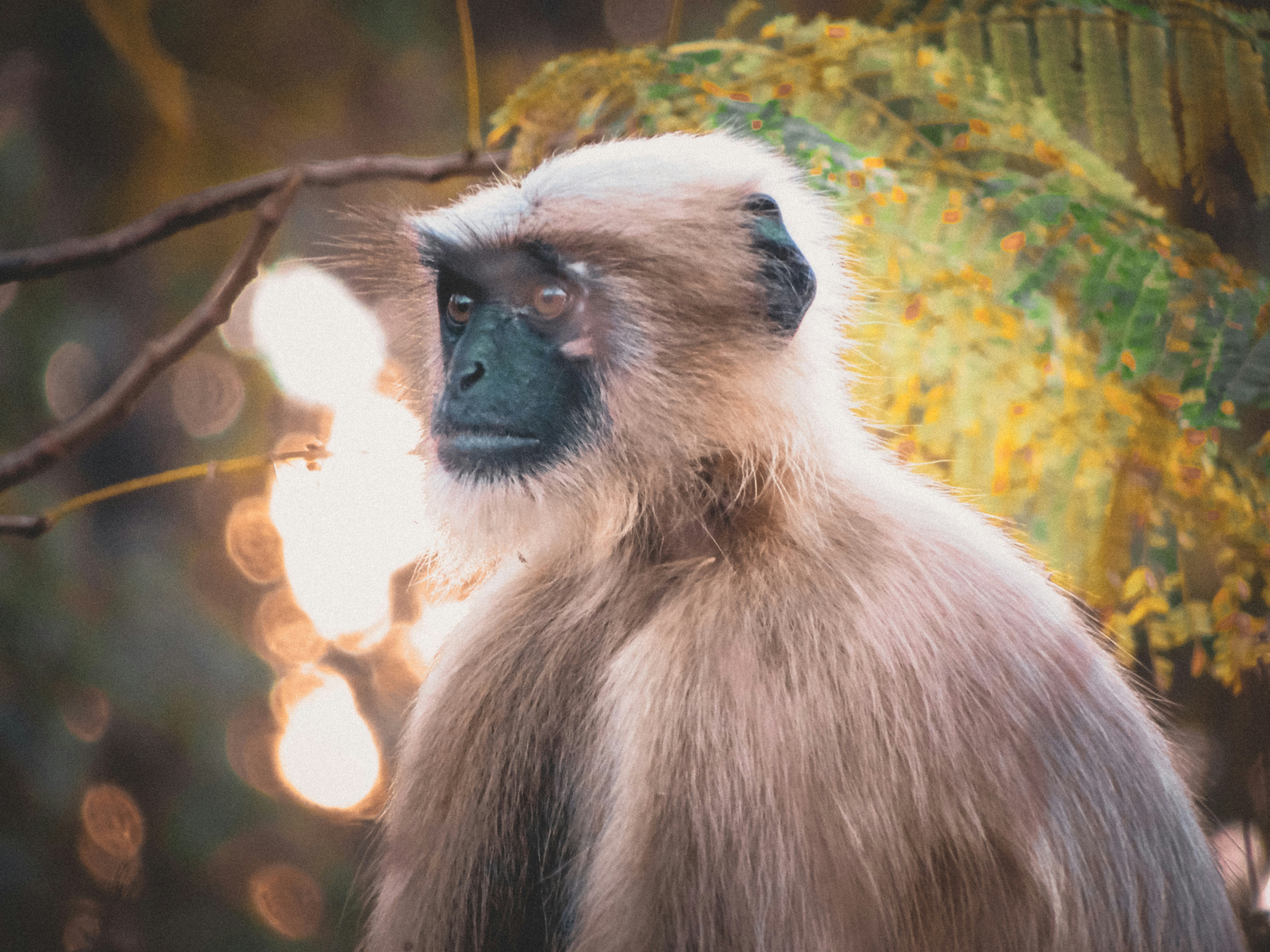 Sample photo from Nikon Coolpix P510