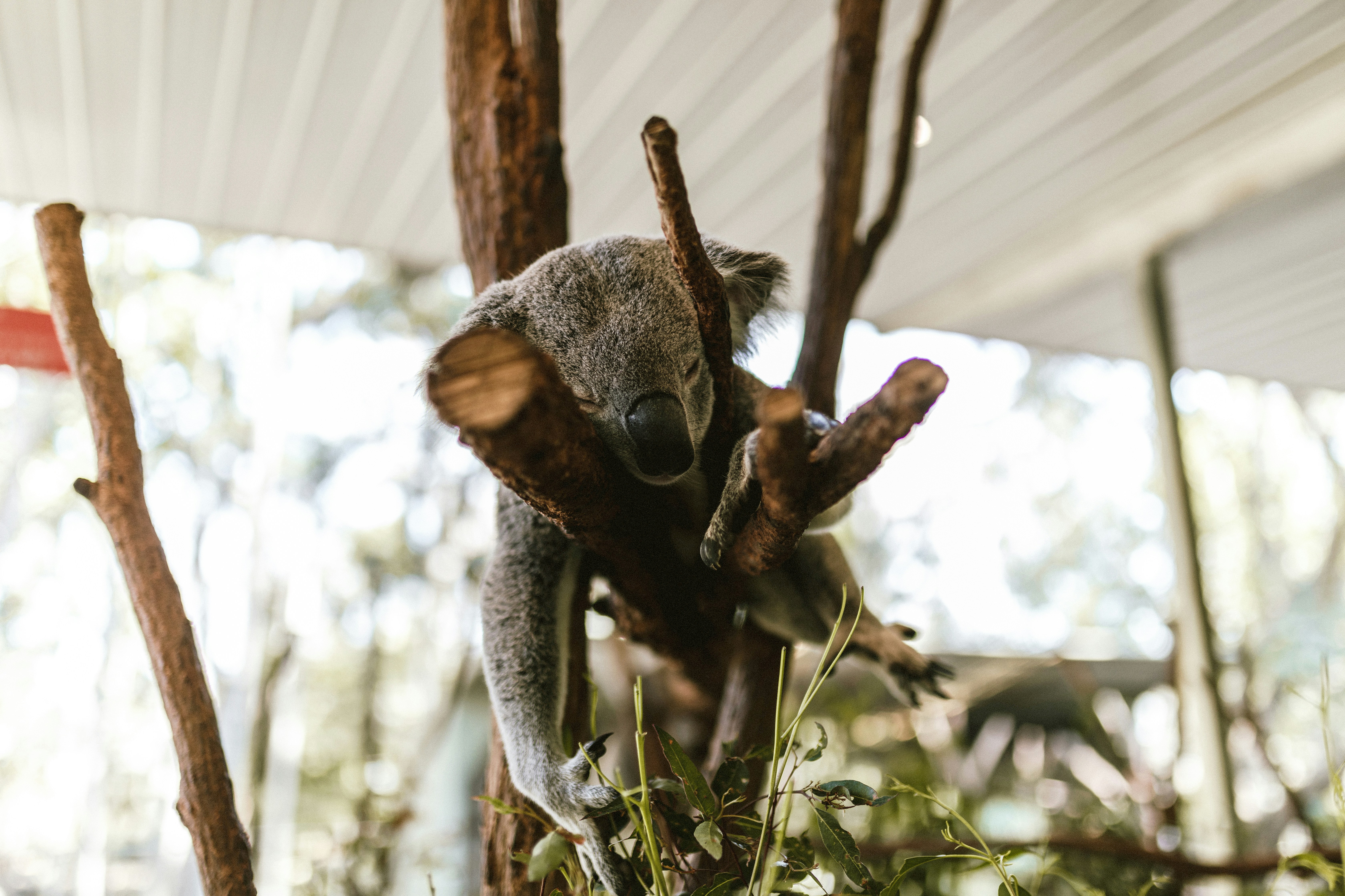 Steven Pahel (@thisisflik) | Unsplash Photo Community