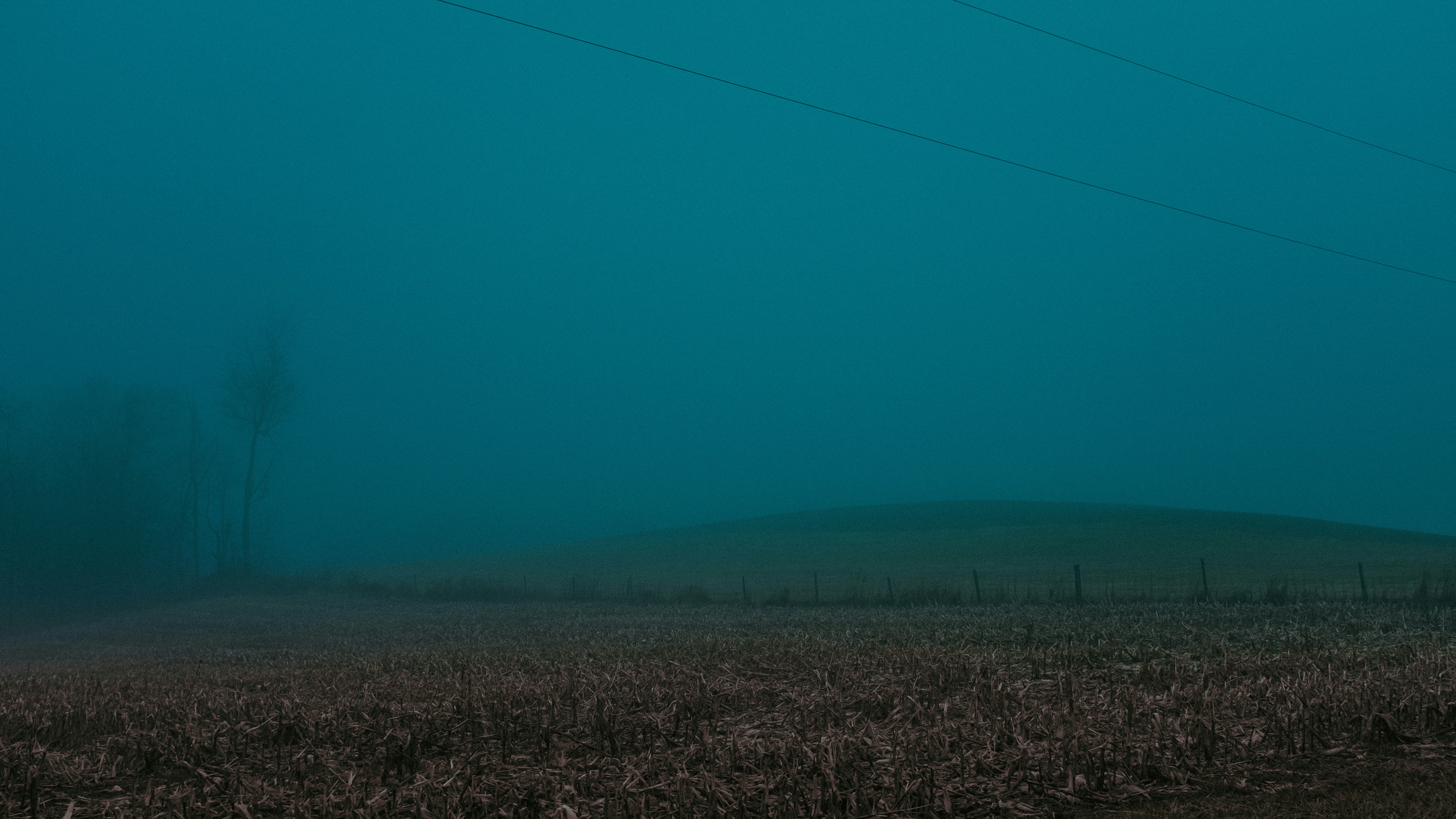 green field