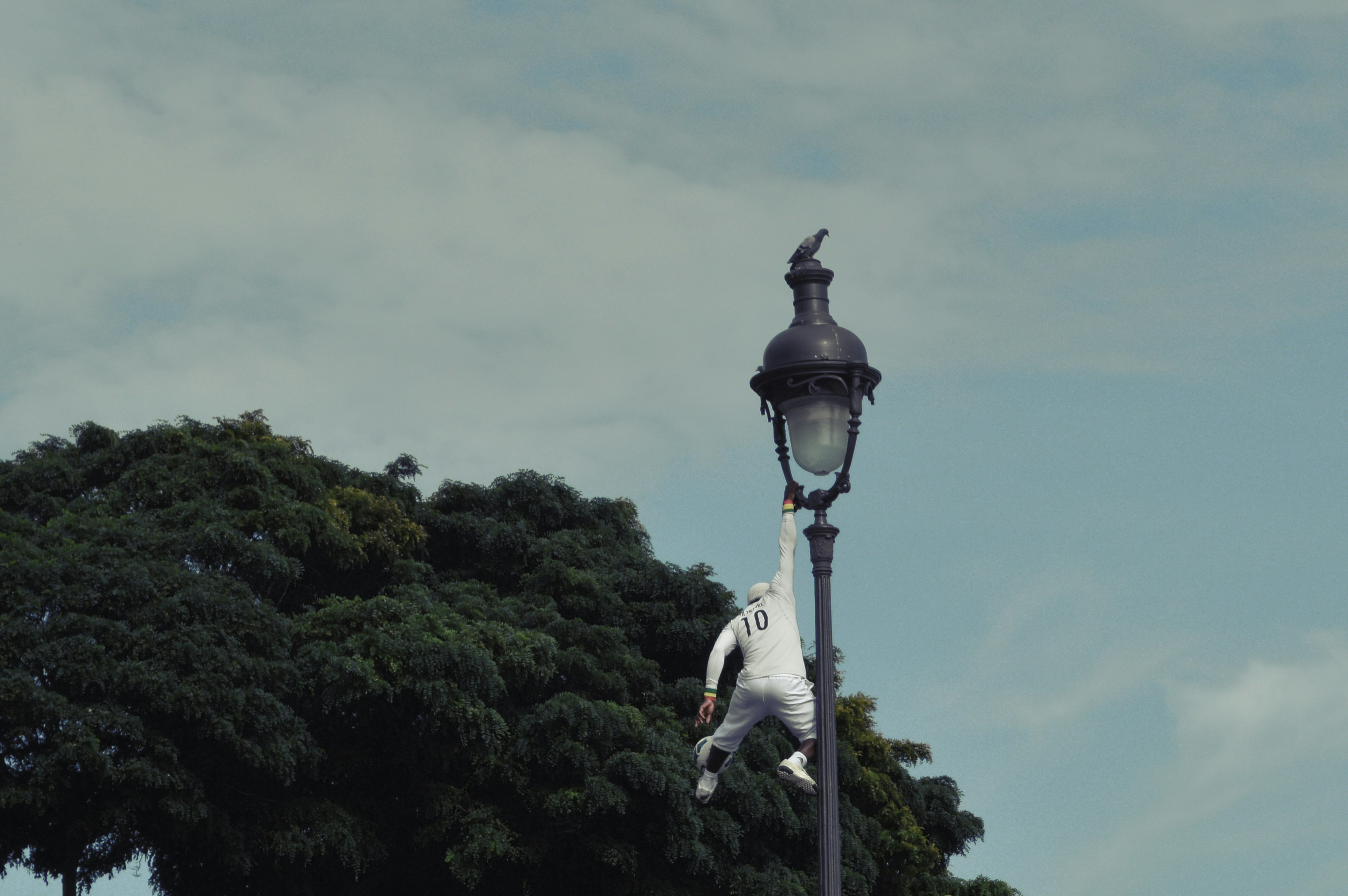 Lantern Climber: A Quiet Pause Above the Trees