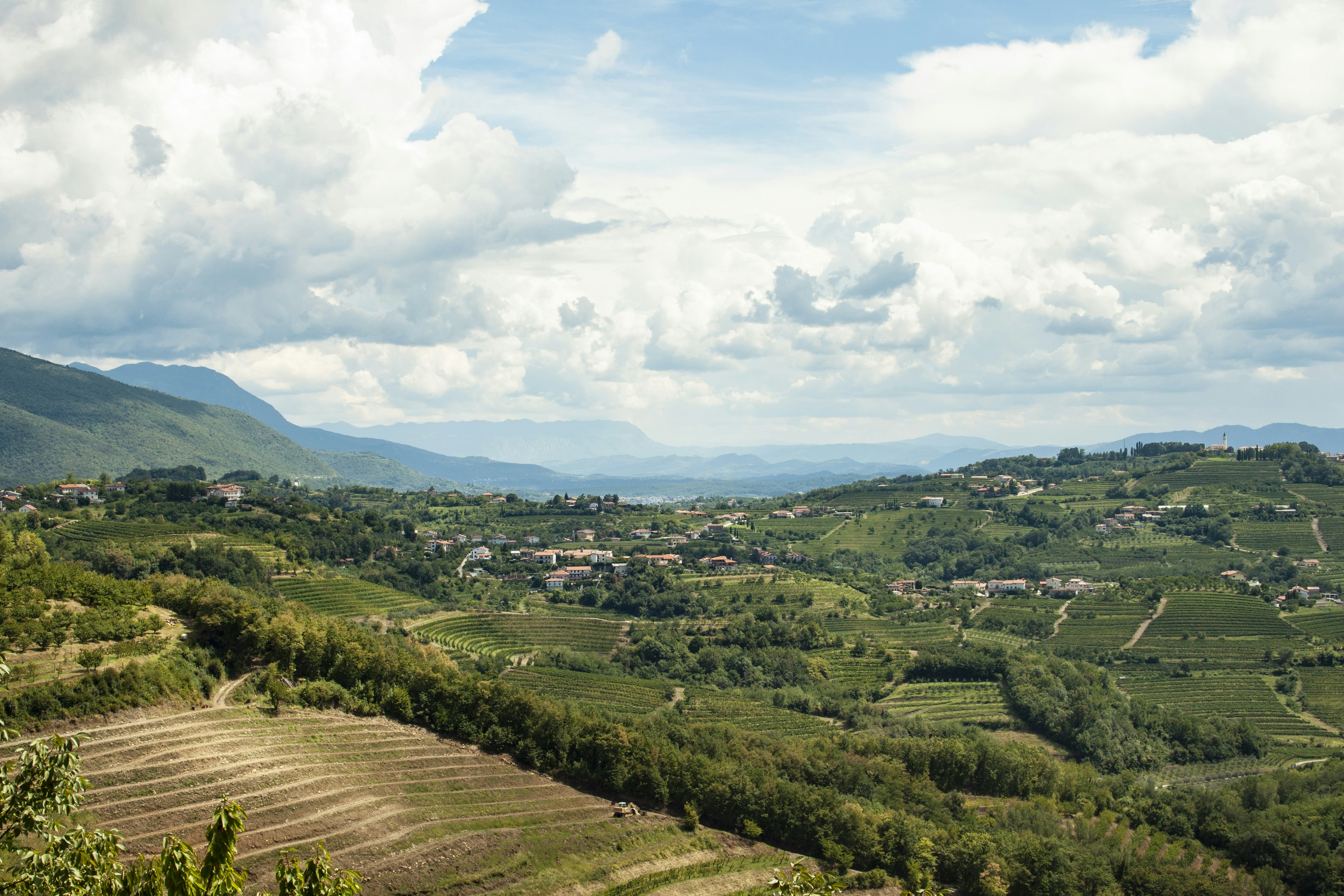 Expansive view of lush vineyards and distant hills under a dramatic sky.