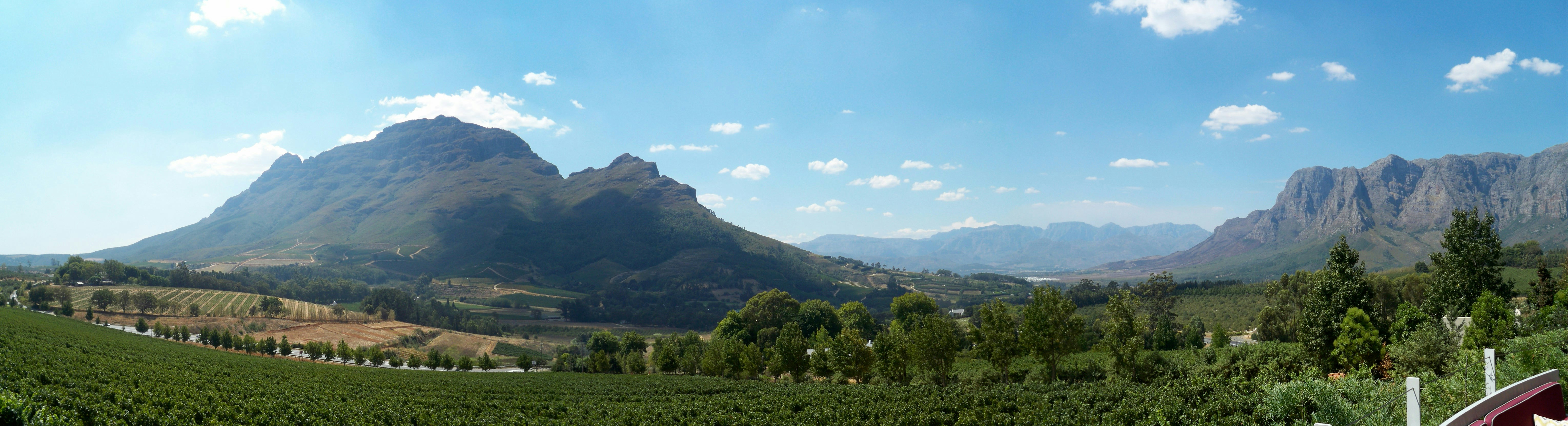 Expansive vineyards stretch towards towering mountains under a clear blue sky in Stellenbosch.