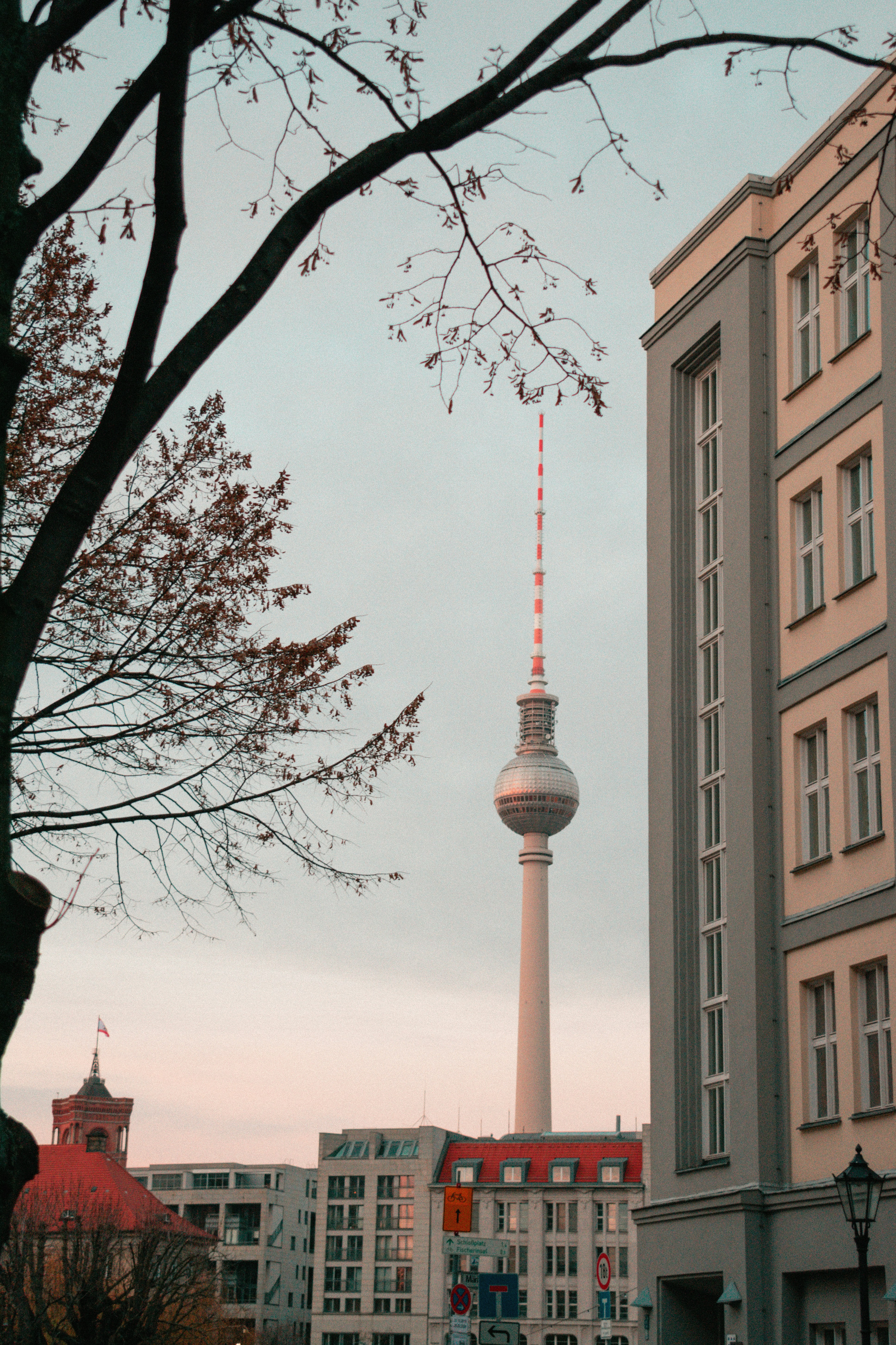 Berlin Tv tower, sunset, warm colors and composition with a tree, Warm colors.