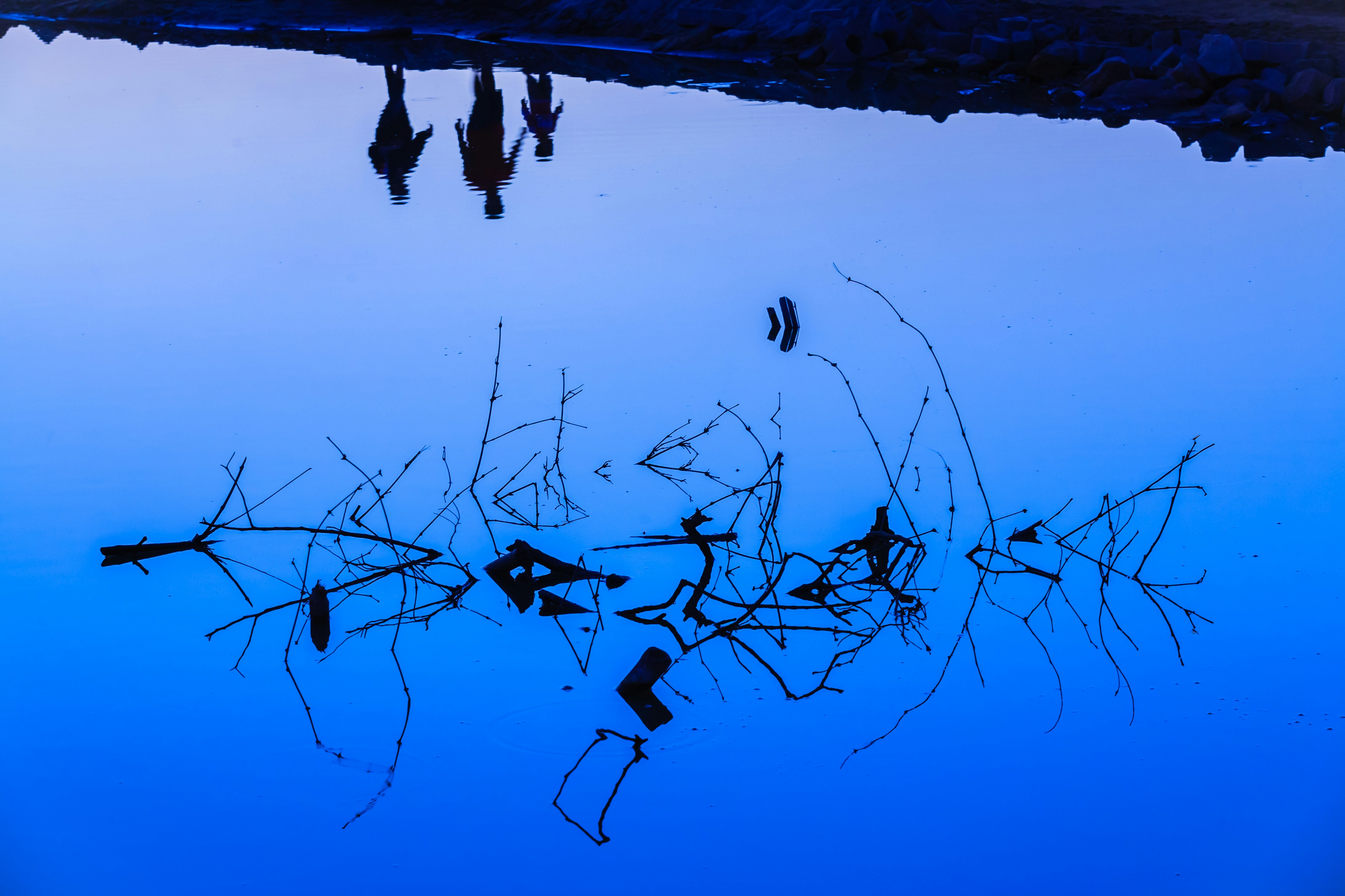 Worachat Sodsri (@worachatsodsri) | Unsplash Photo Community