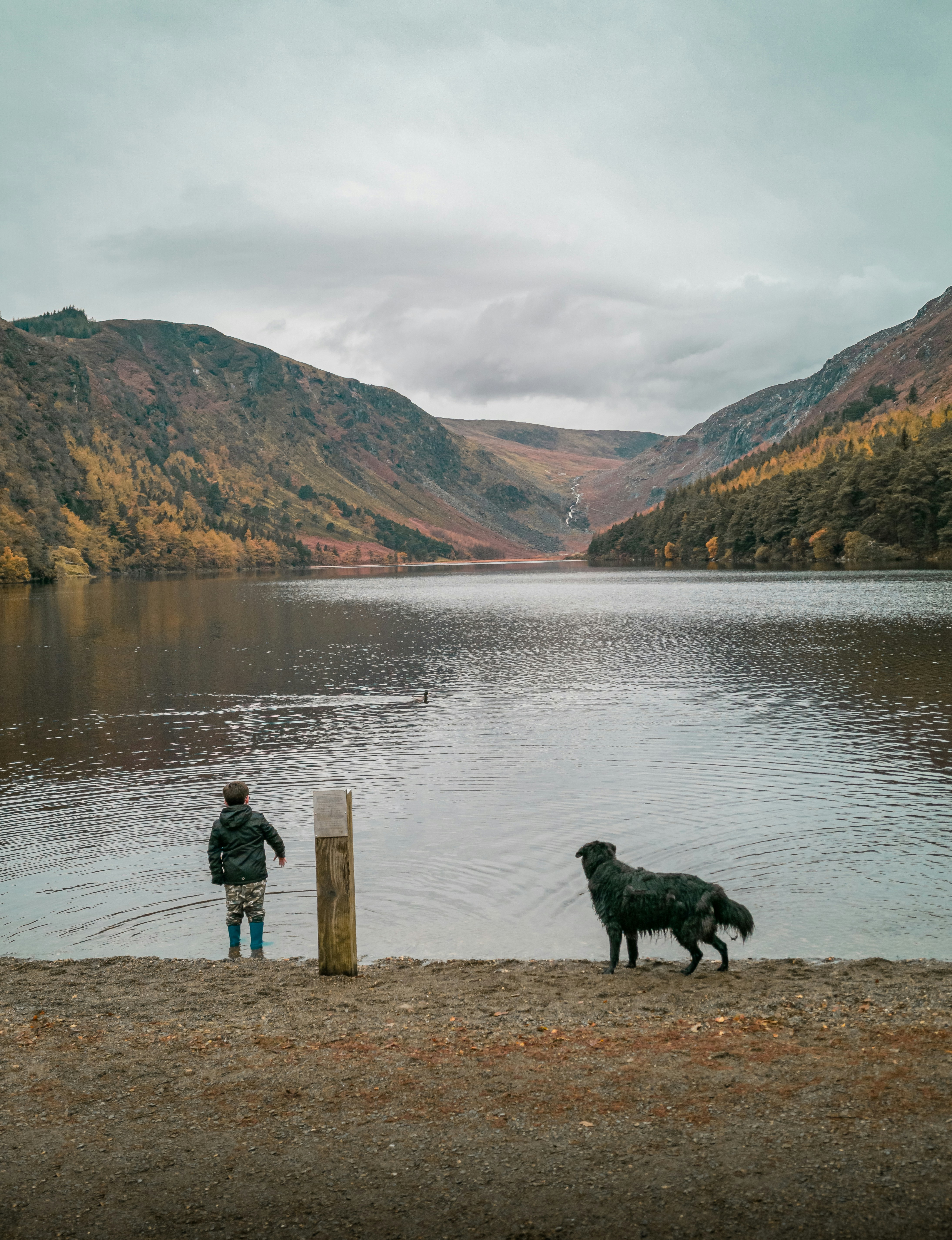 Autumn Quiet Along the Lakeside: A Boy and a Dog at the Water