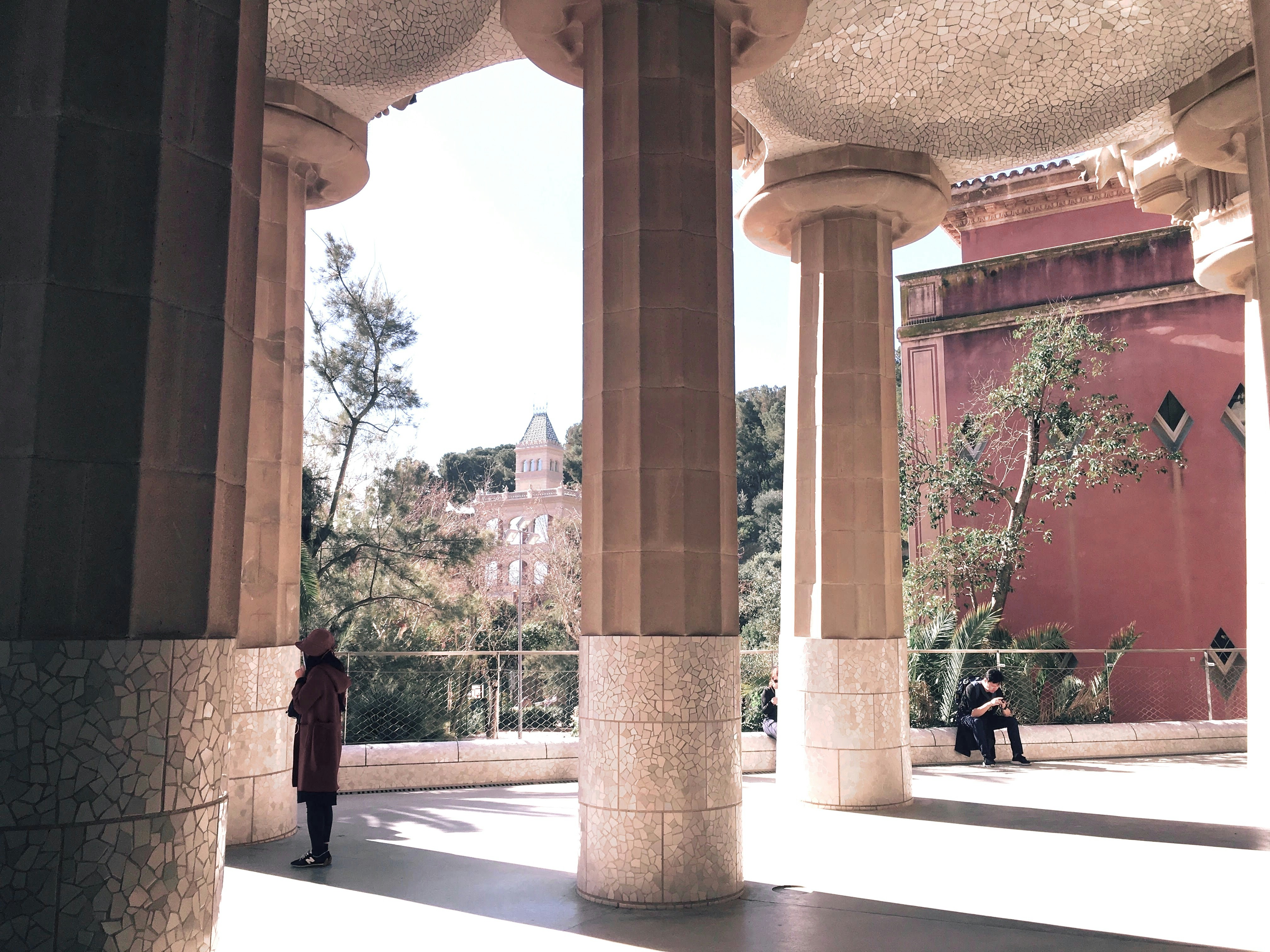 Meghan Reed (@mreed7614) | Unsplash Photo Community