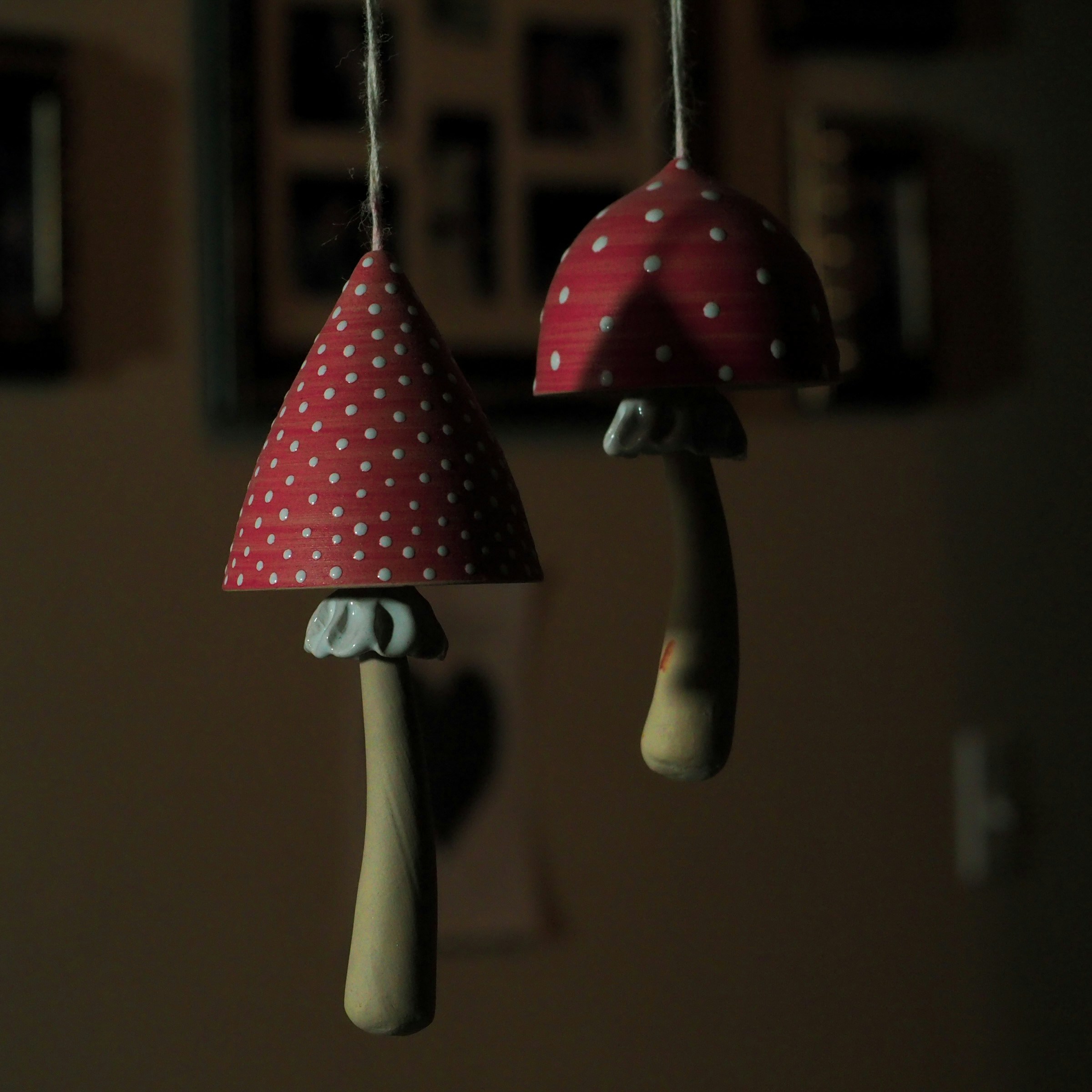 Whispering Mushrooms in Low Light: A Minimal Still-Life