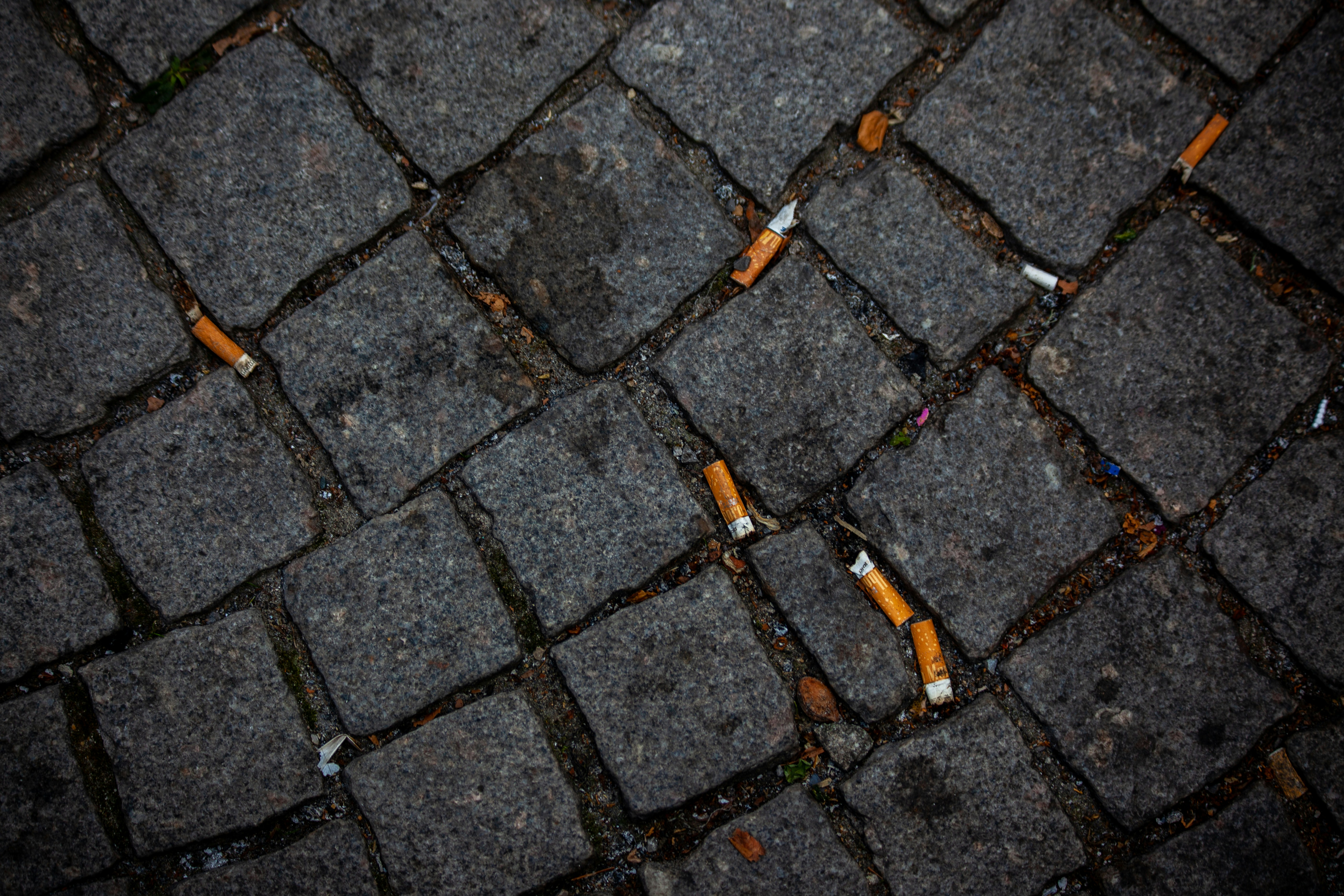 Diagonal Threads of Tobacco Across a Cobblestone Street
