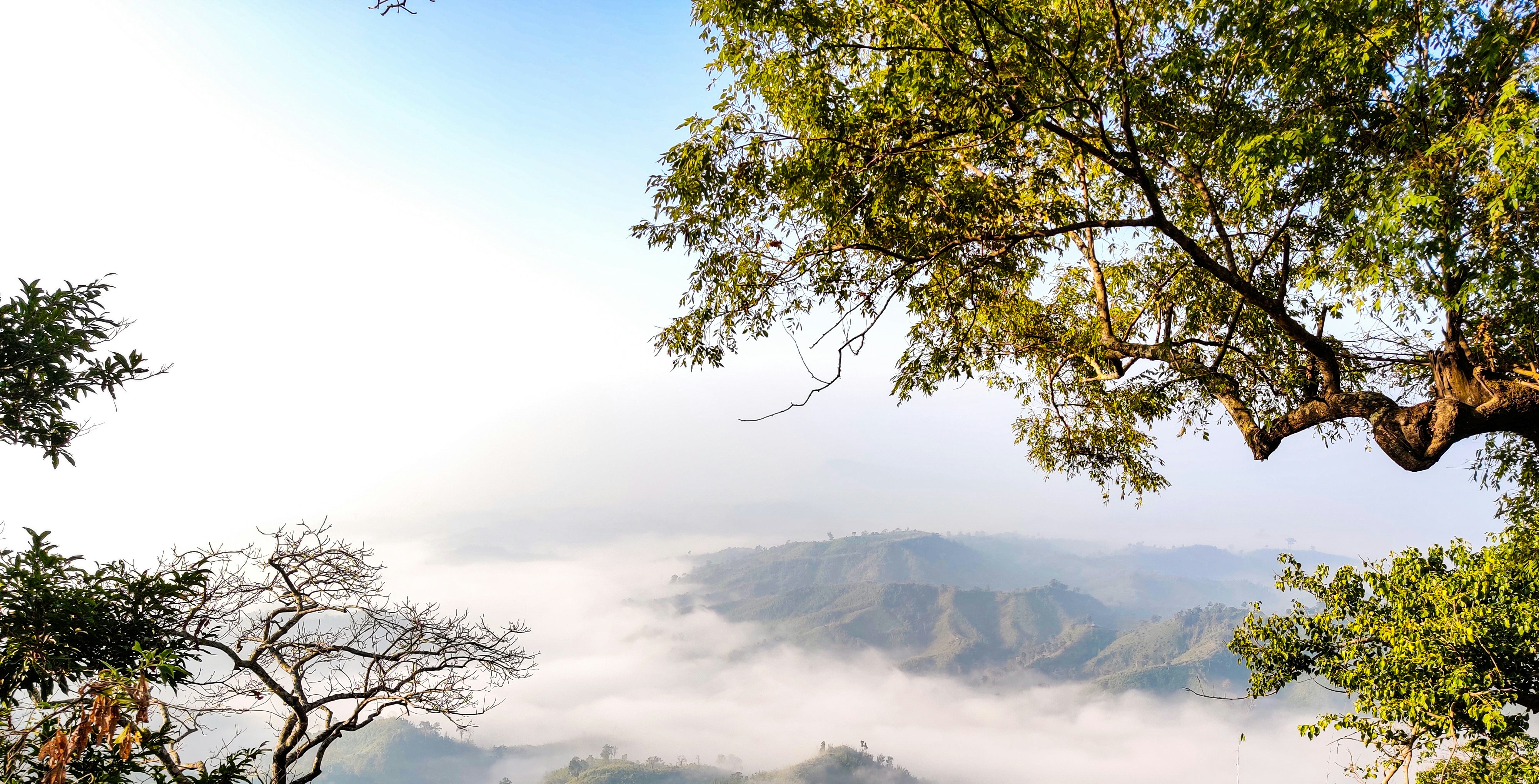 Bandarban, Bangladesh Pictures | Download Free Images on Unsplash