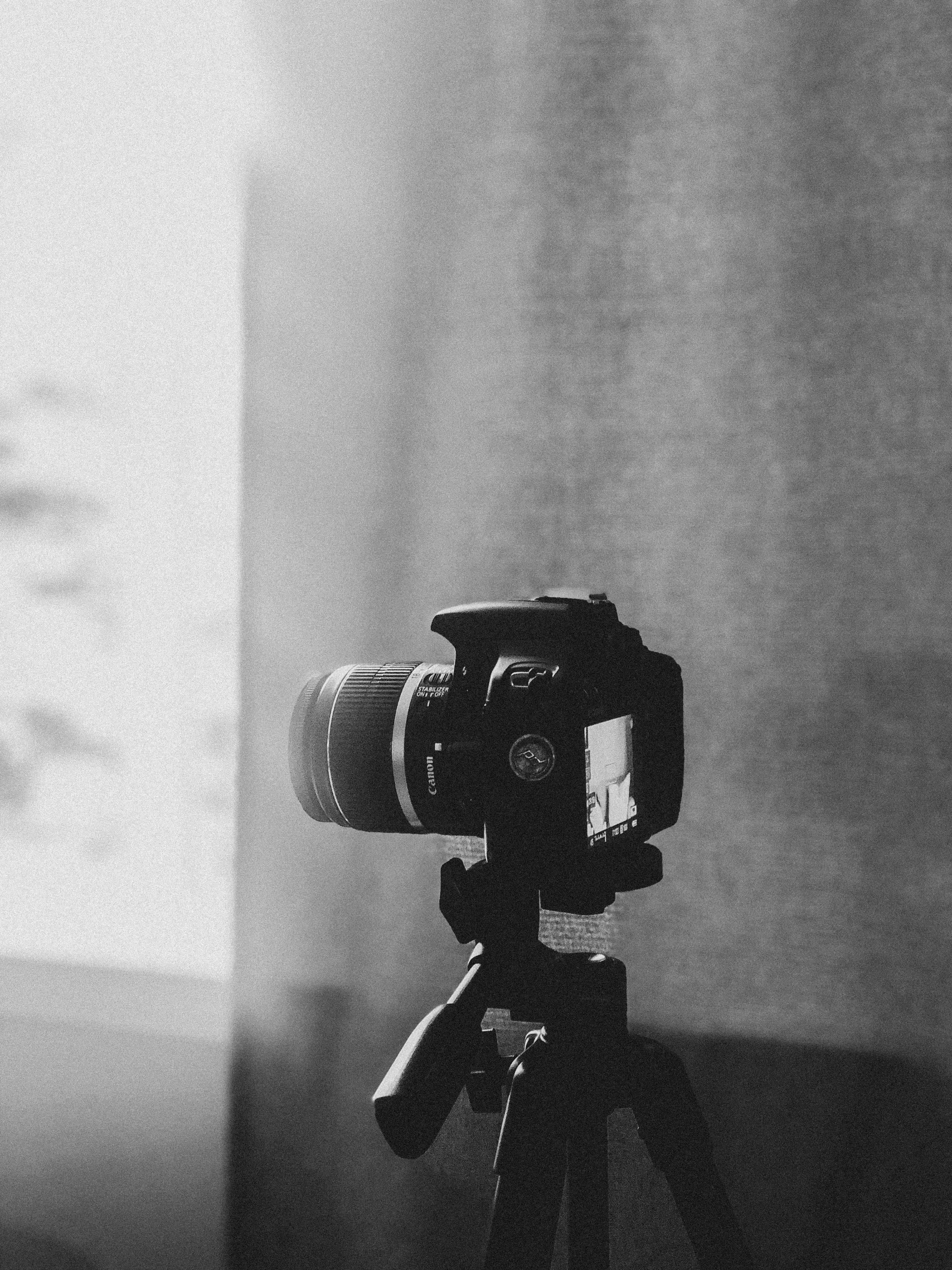 Kate Oseen (@kateoseen) | Unsplash Photo Community