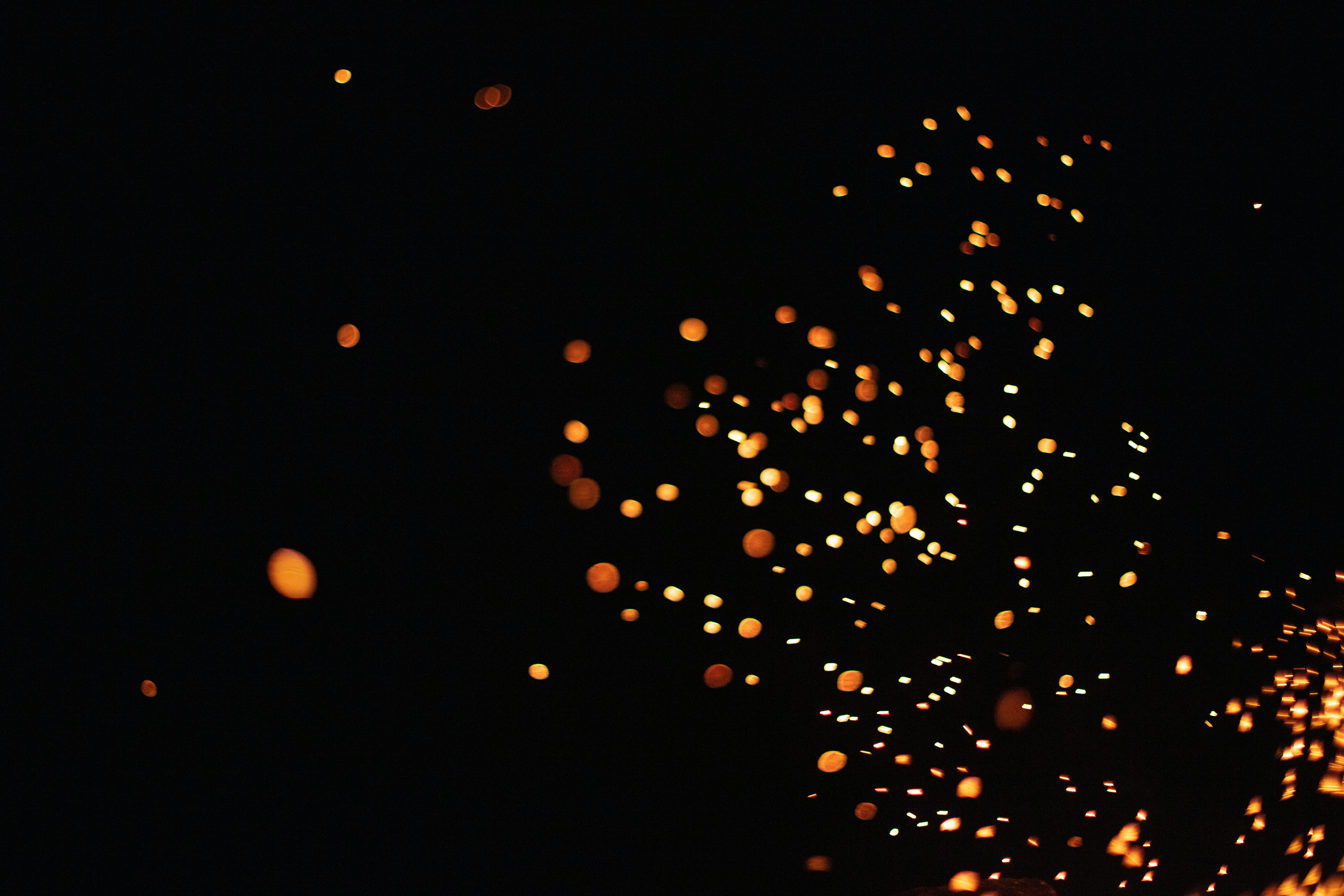 Photo by Patrick Hendry with Canon EOS 5DS