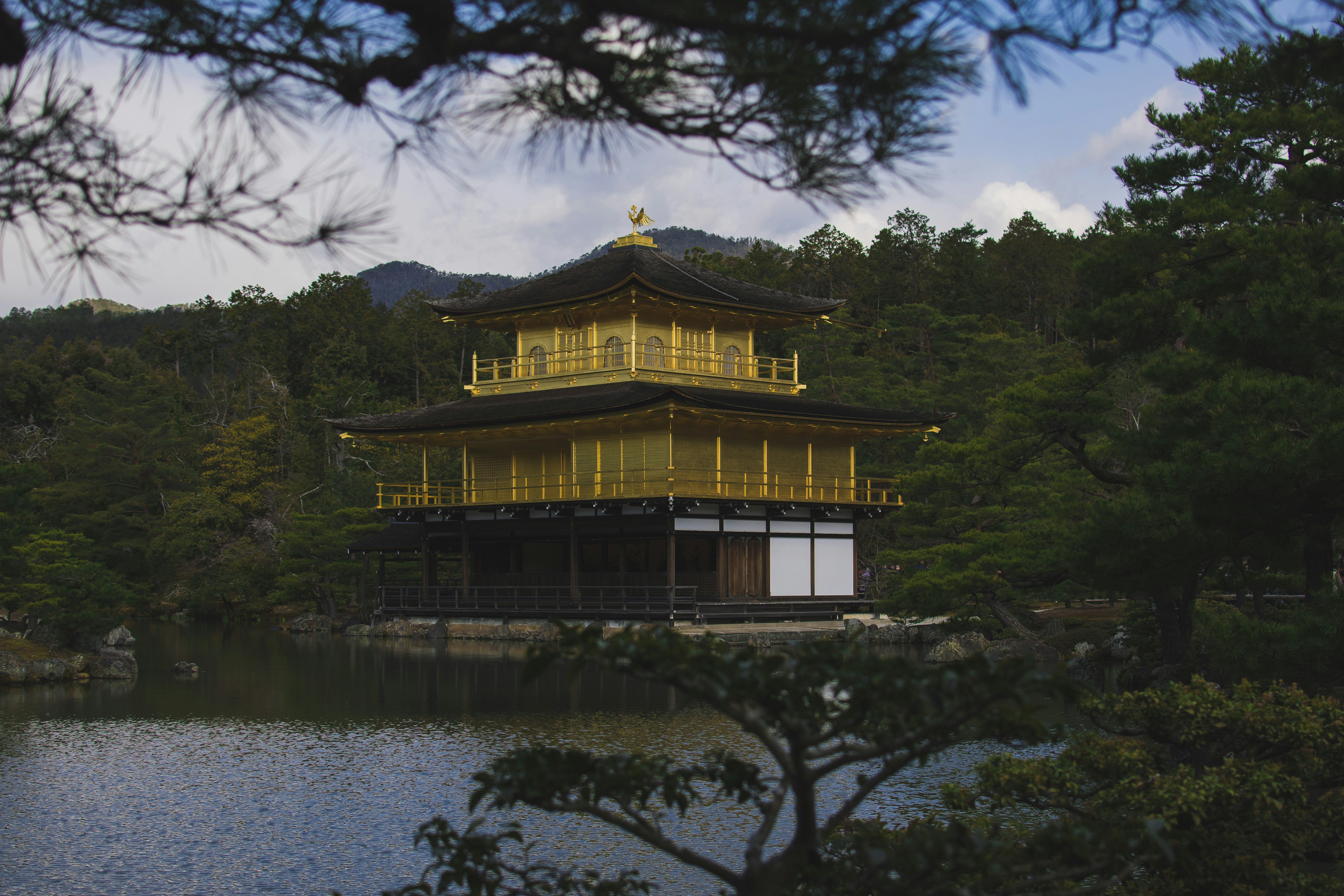 Golden temple reflecting in a tranquil pond surrounded by lush greenery.