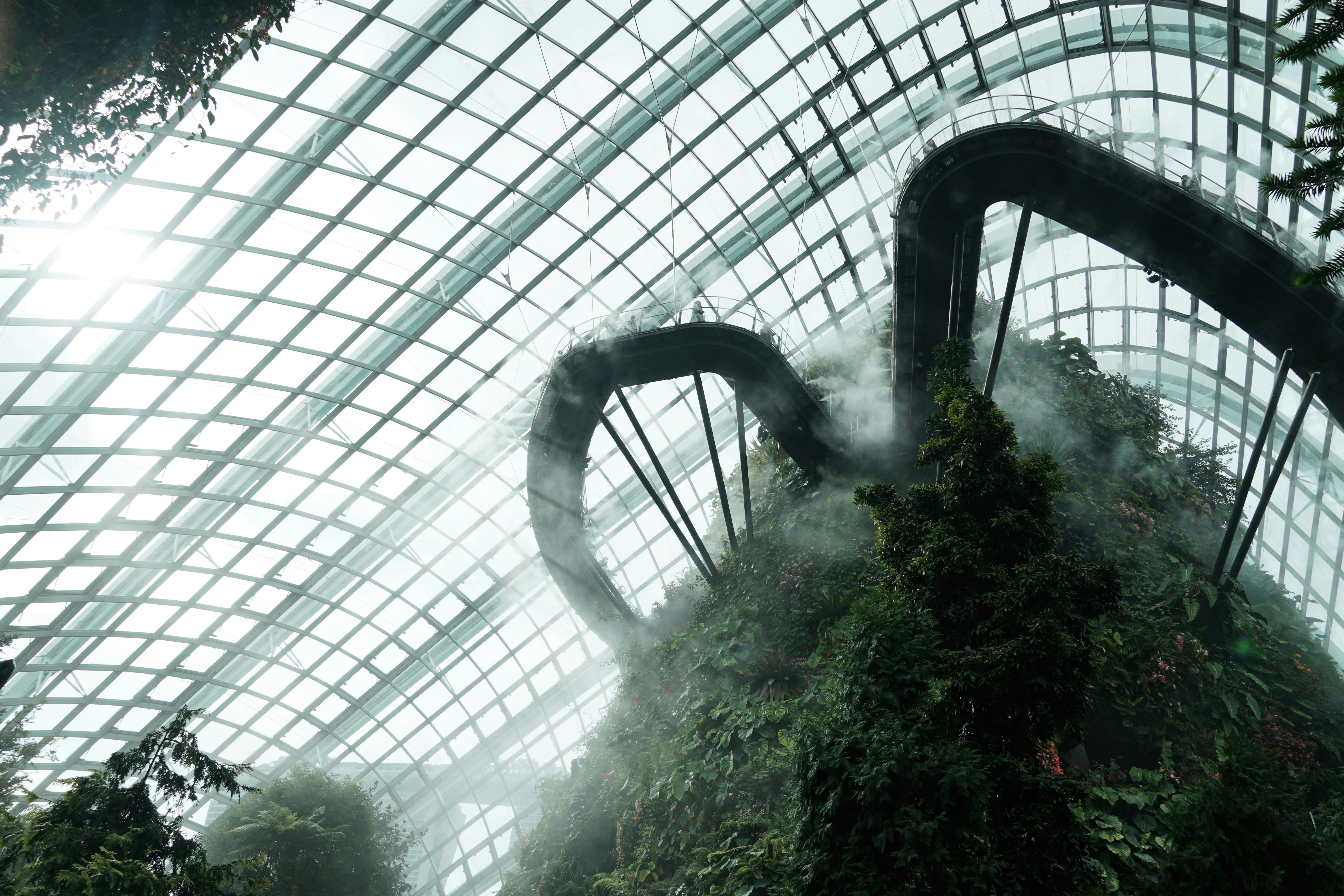 Green plants inside building photo – Free Grey Image on Unsplash