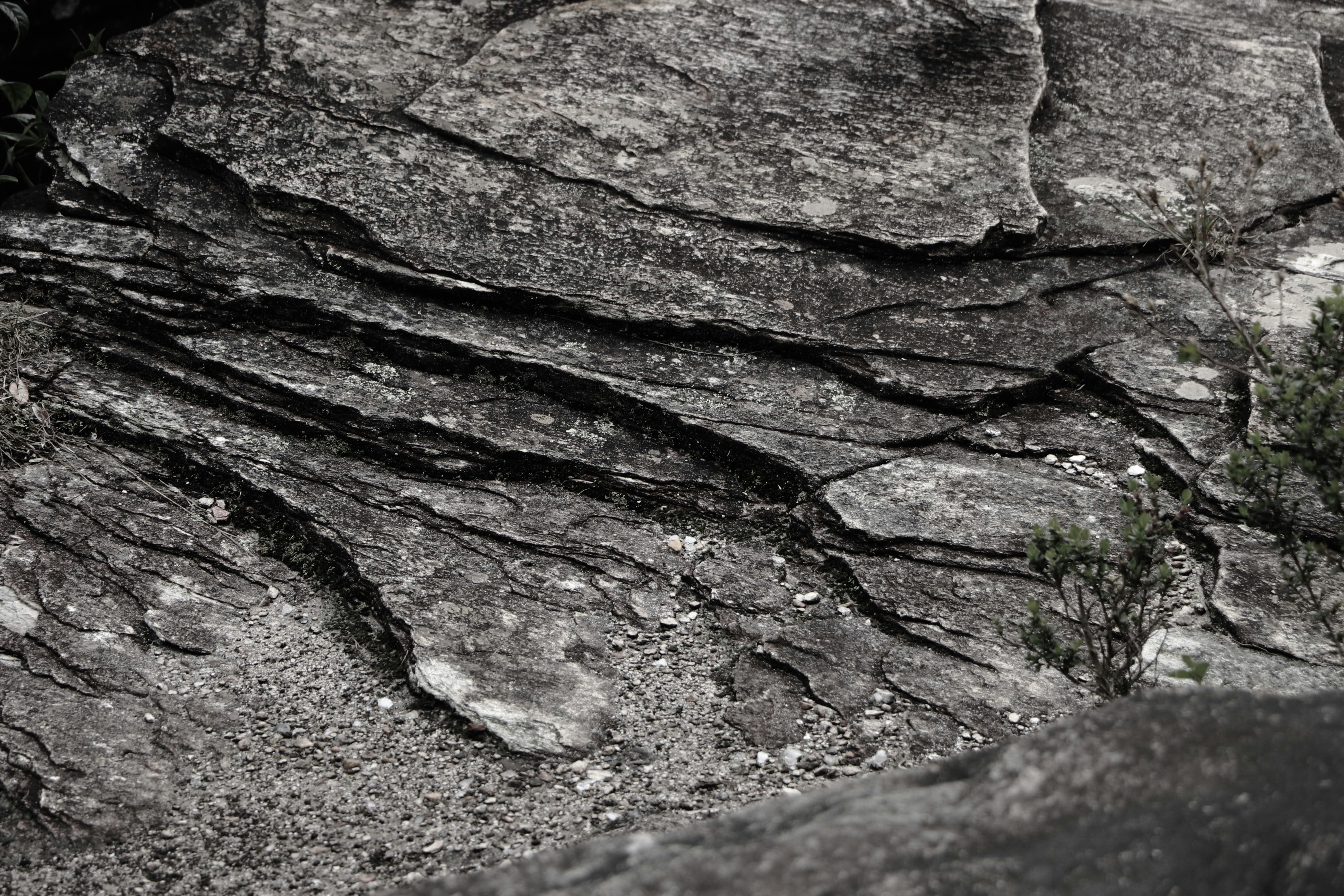 Intricate layers of weathered rock formations showcasing natural textures and patterns. A small green plant peeks through the cracks.