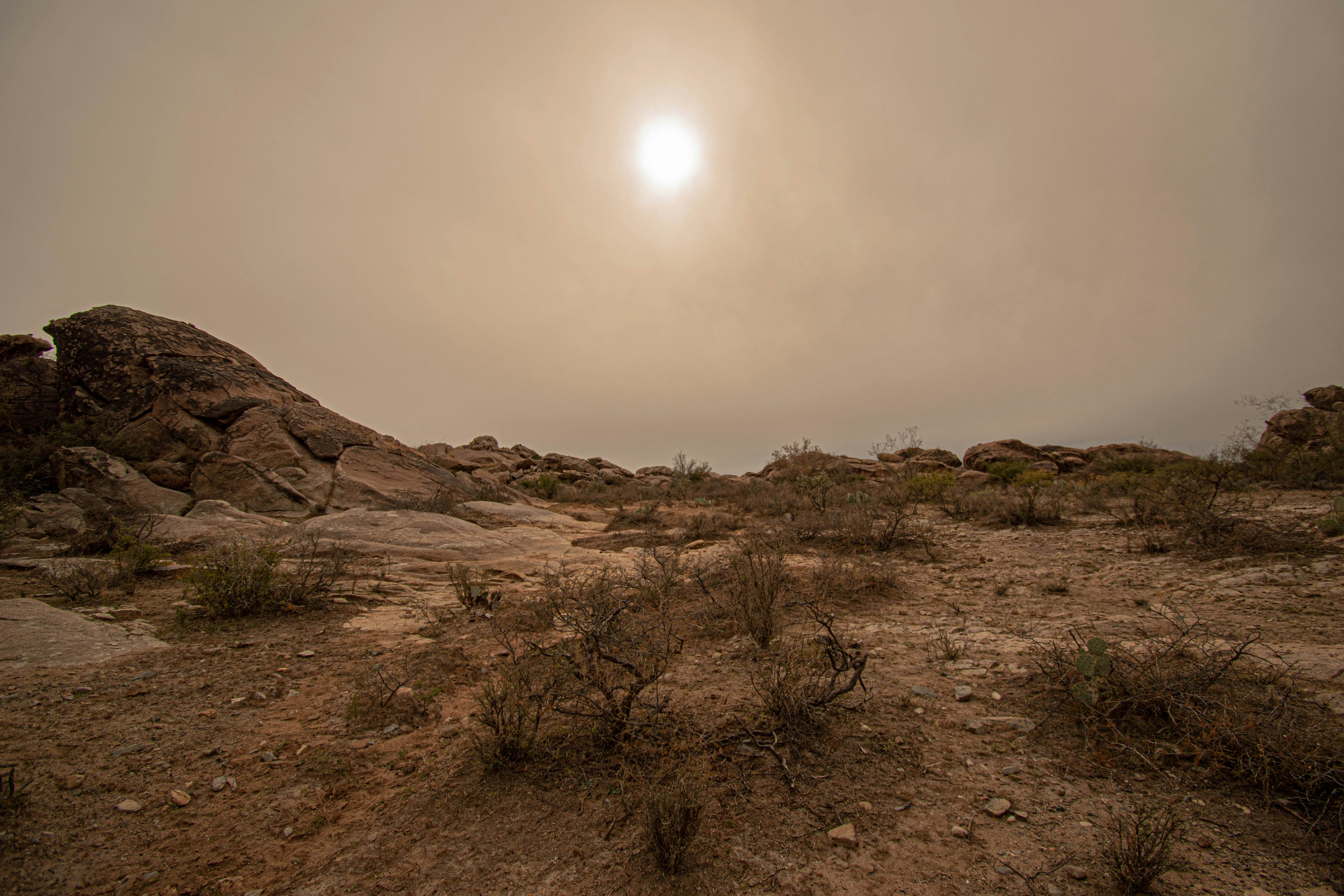 Mexico Desert Landscape