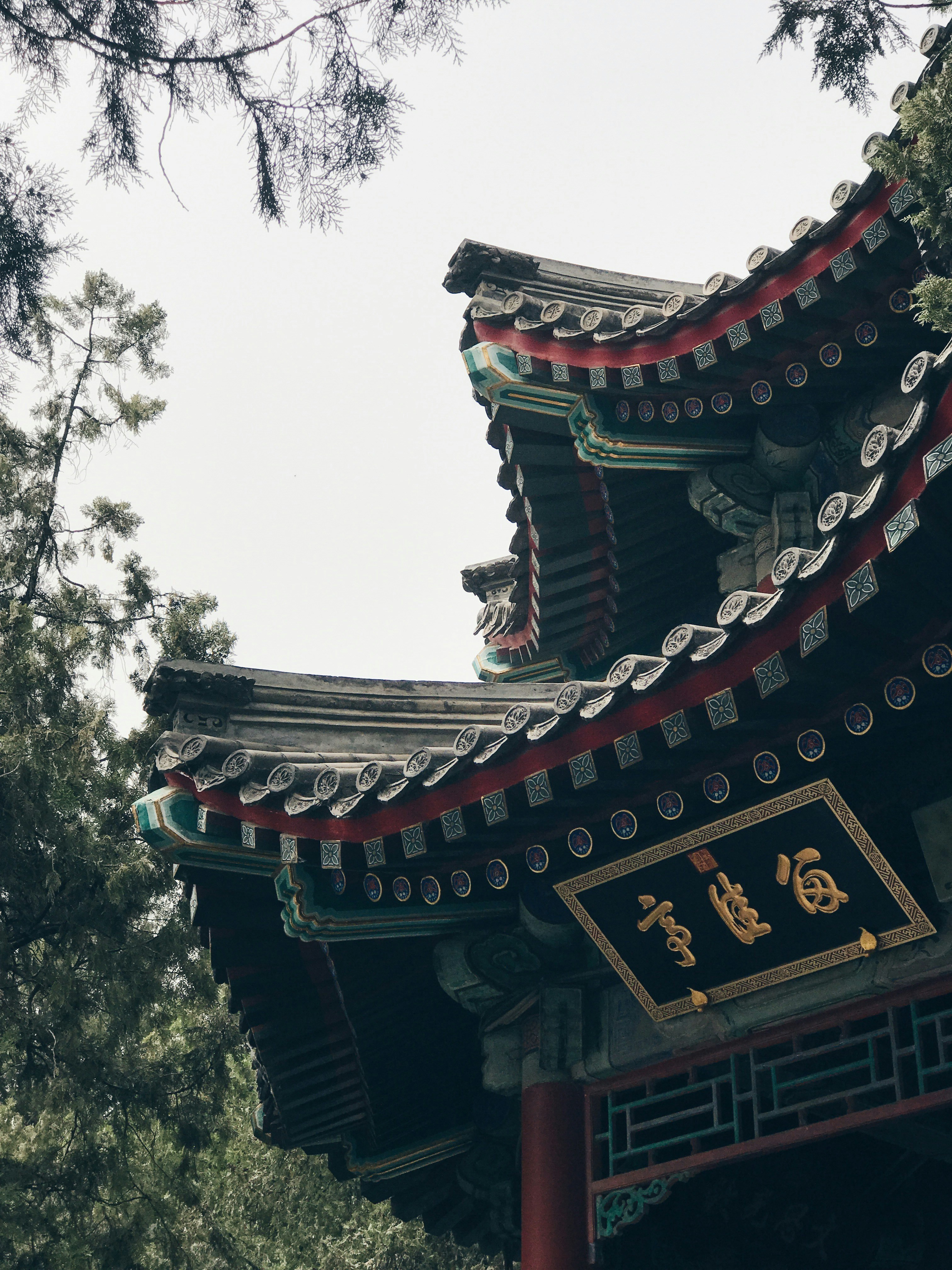 Ornate Rooflines Under Pine Canopies: A Temple's Painted Gable