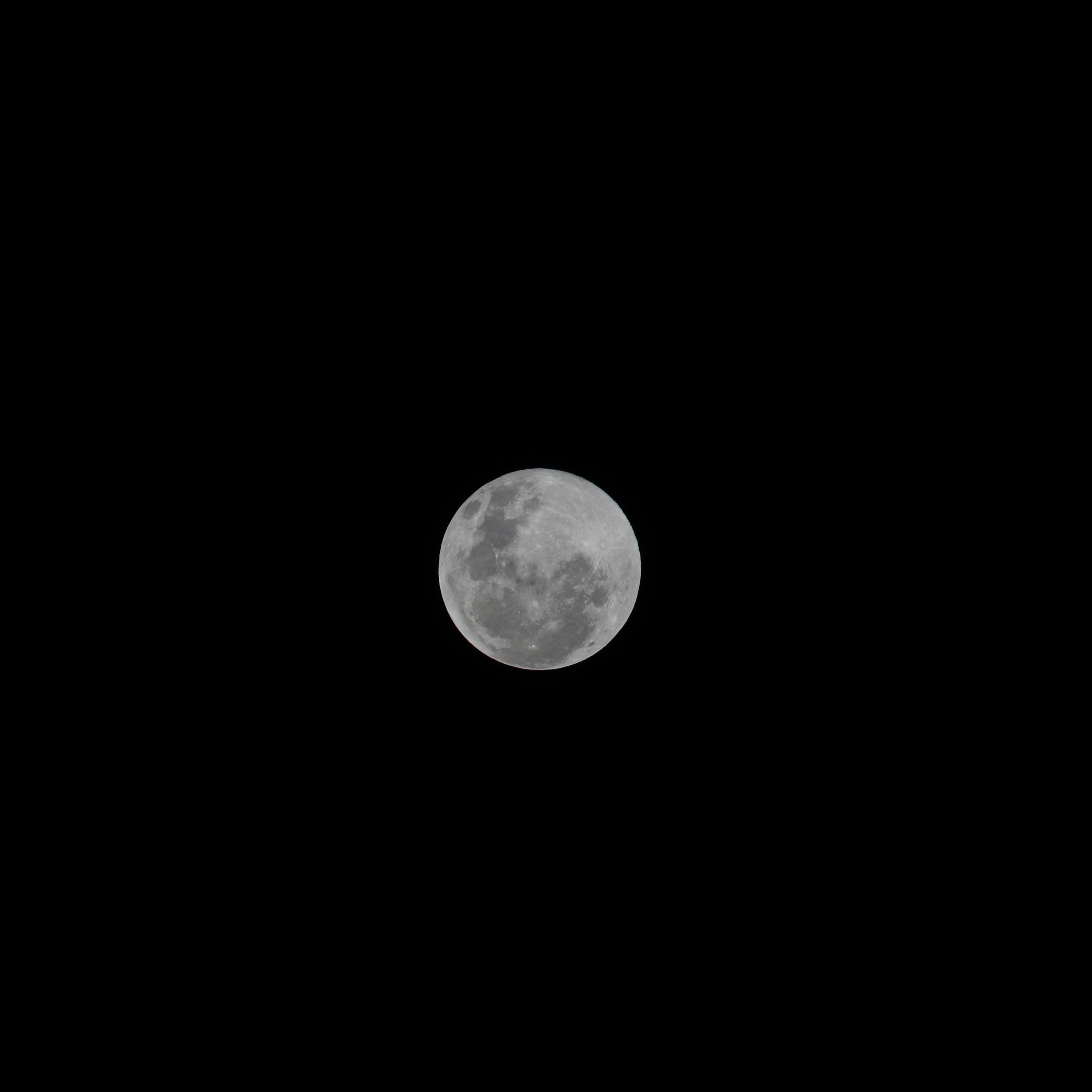 White moon photo – Free Grey Image on Unsplash