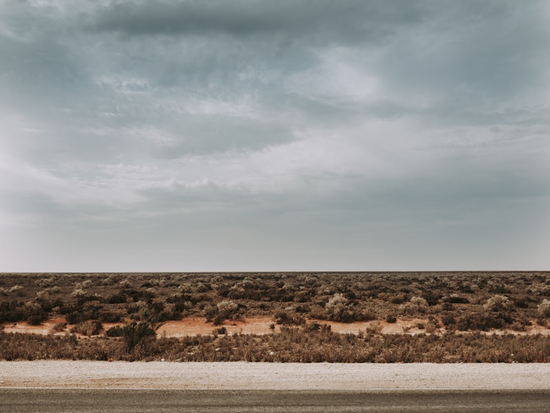 Nullarbor Plain: Geography, Caves, Cliffs & Facts | Geography Worlds