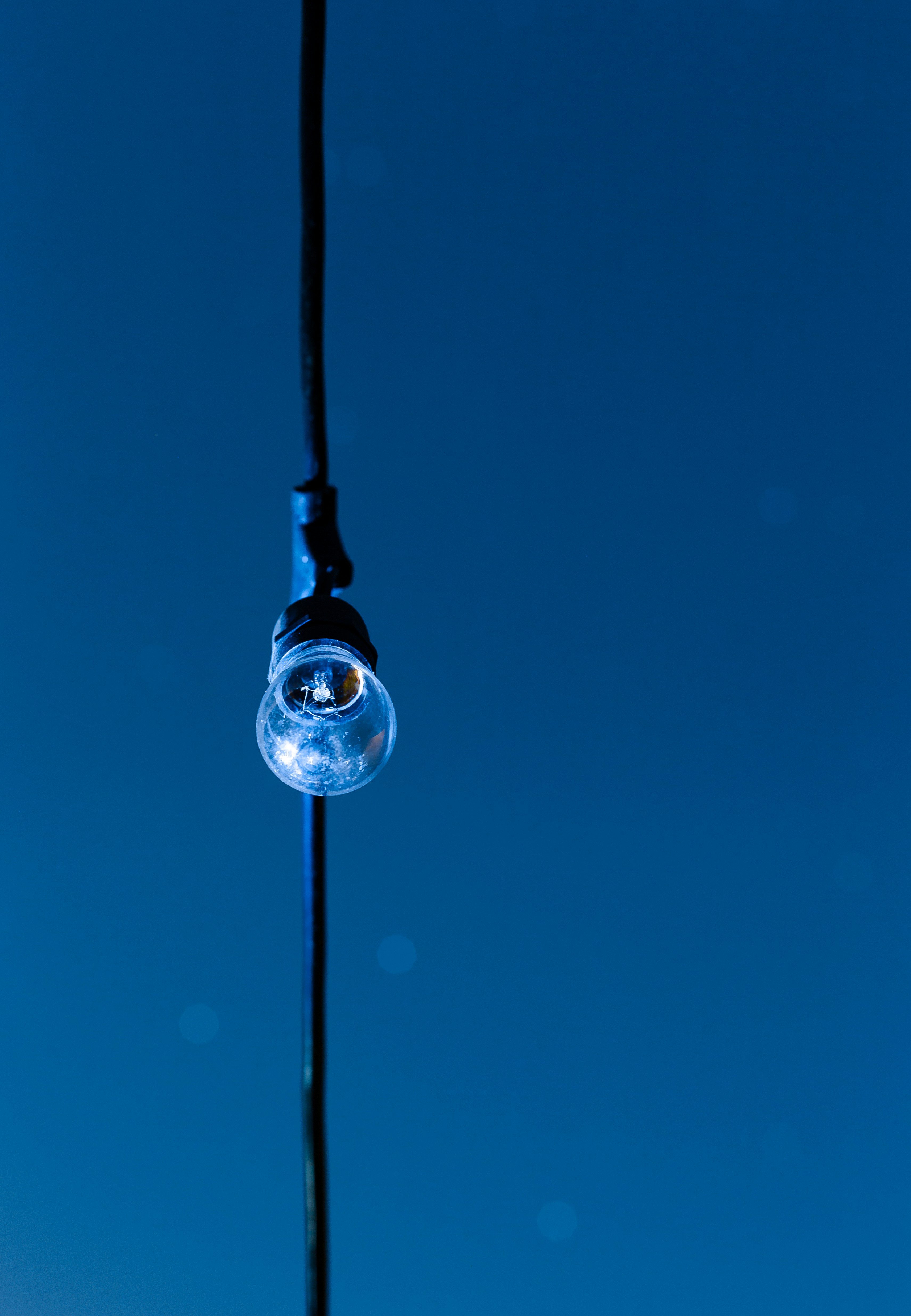 Clear light bulb photo – Free Blue Image on Unsplash