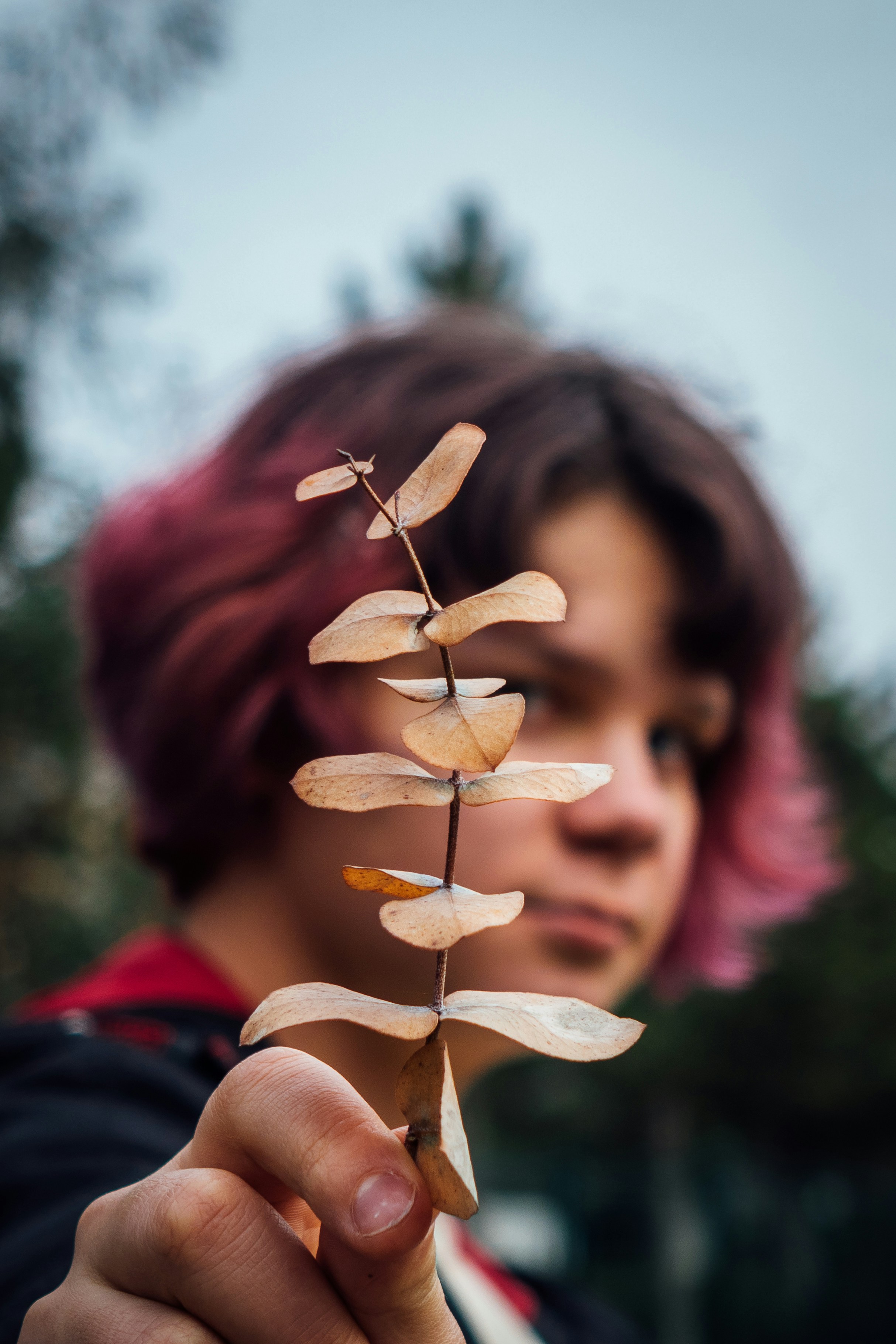 Stem in Focus, Portrait in Blur: A Close-Up with Pink-Haired Backdrop