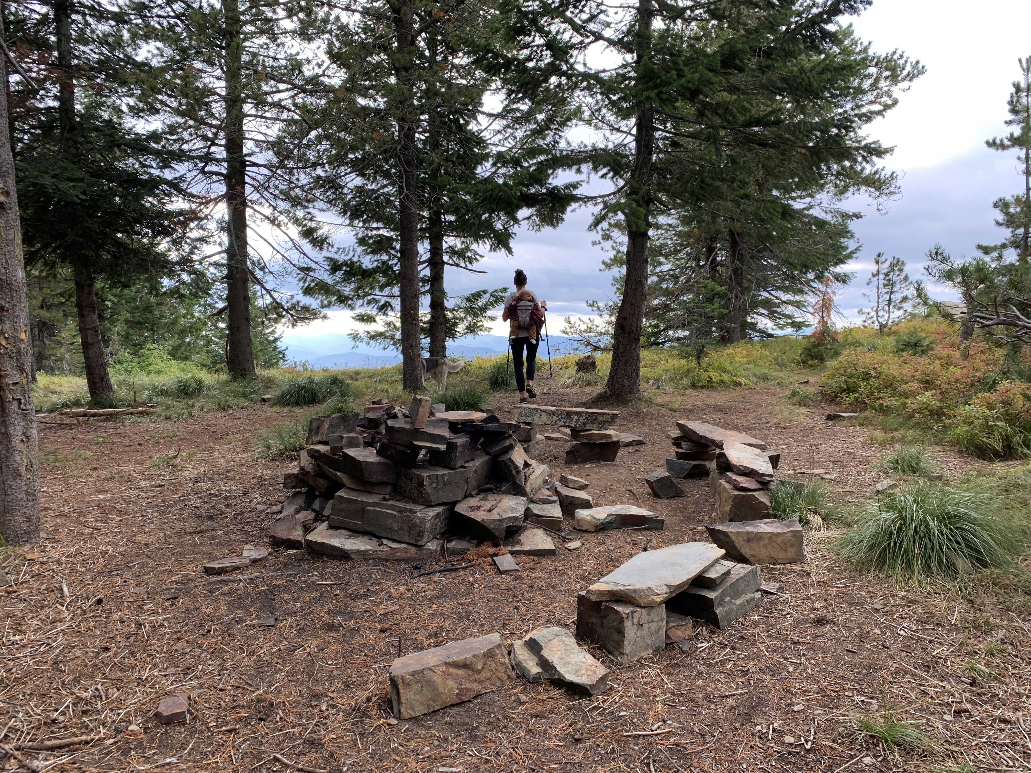 Person standing between trees photo – Free Person Image on Unsplash