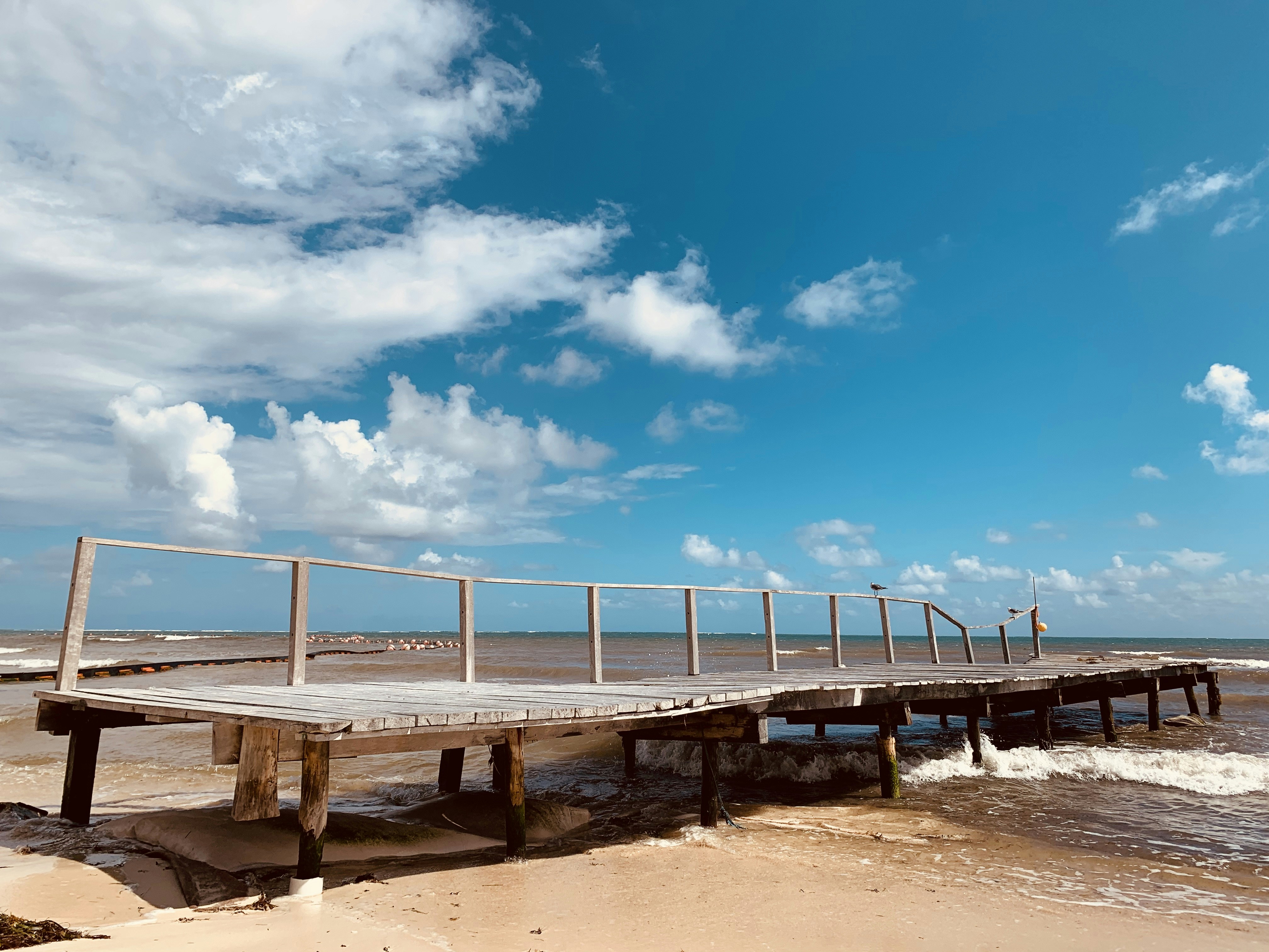 Brown wooden beach dock under white and blue sky photo – Free Beach ...
