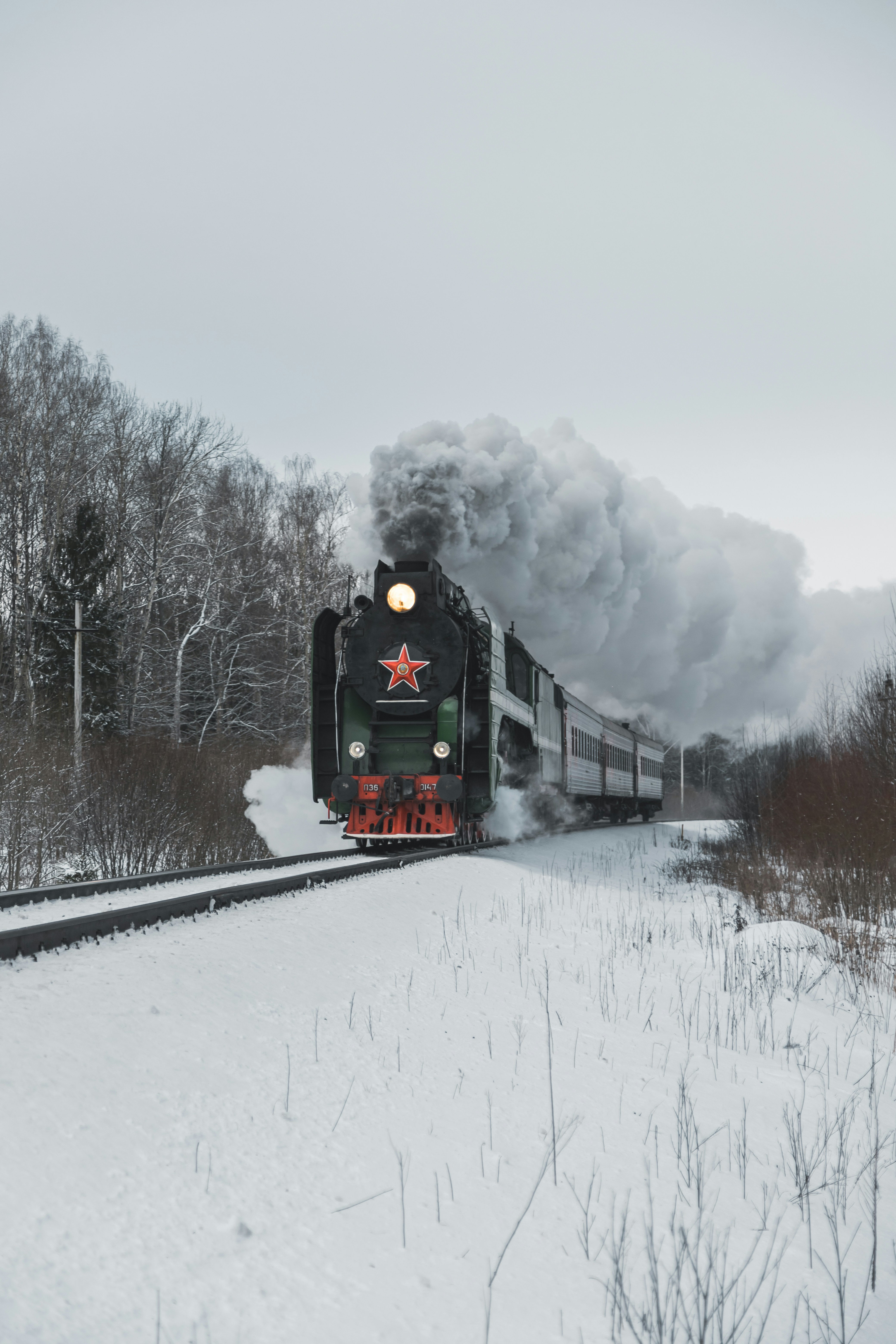 Grey train photograph photo – Free Forest Image on Unsplash