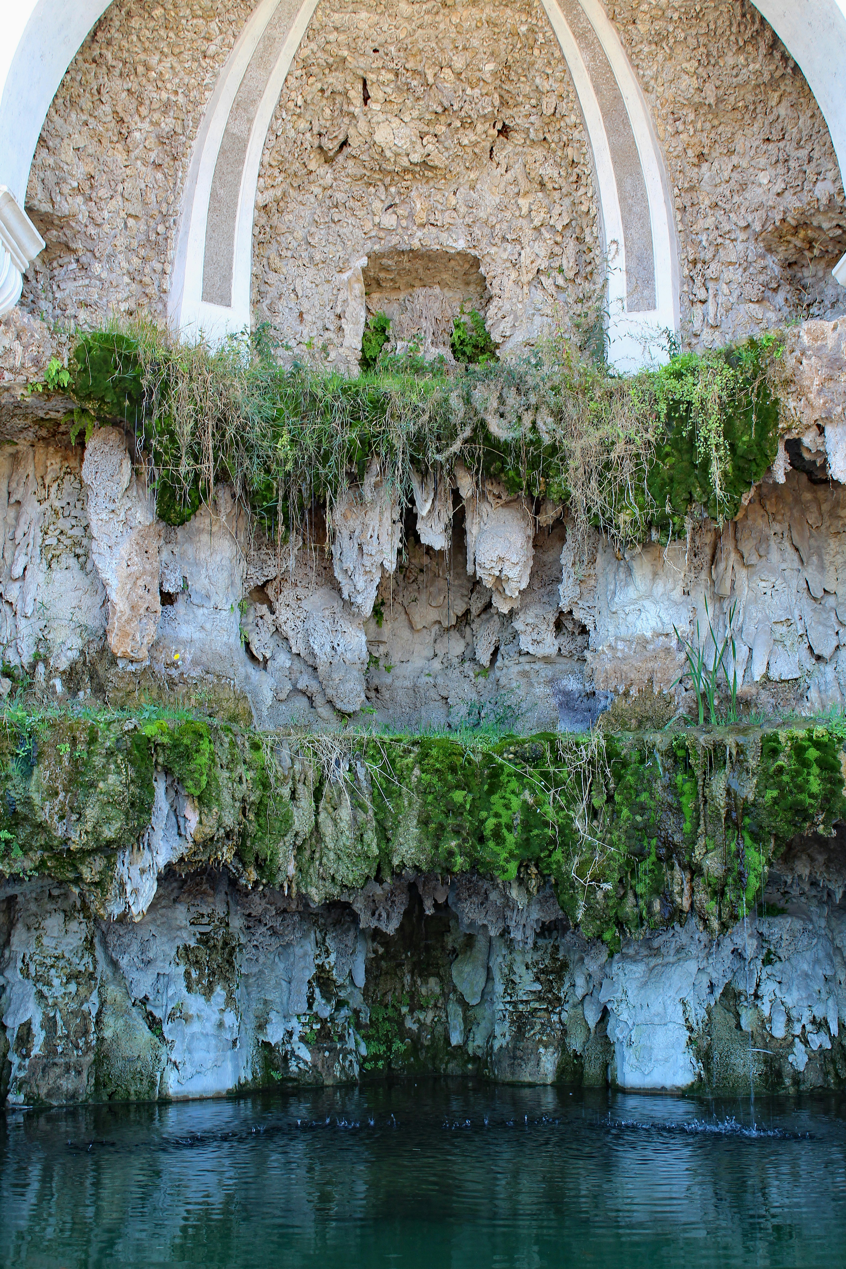 Tiny cave with water and green plants