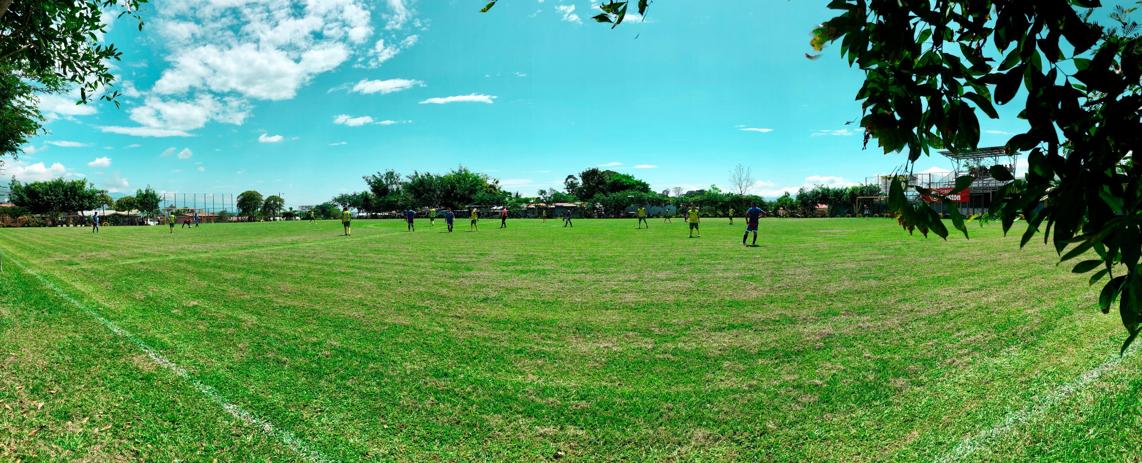 Panoramic view of a vibrant soccer field filled with players and lush greenery under a clear blue sky.