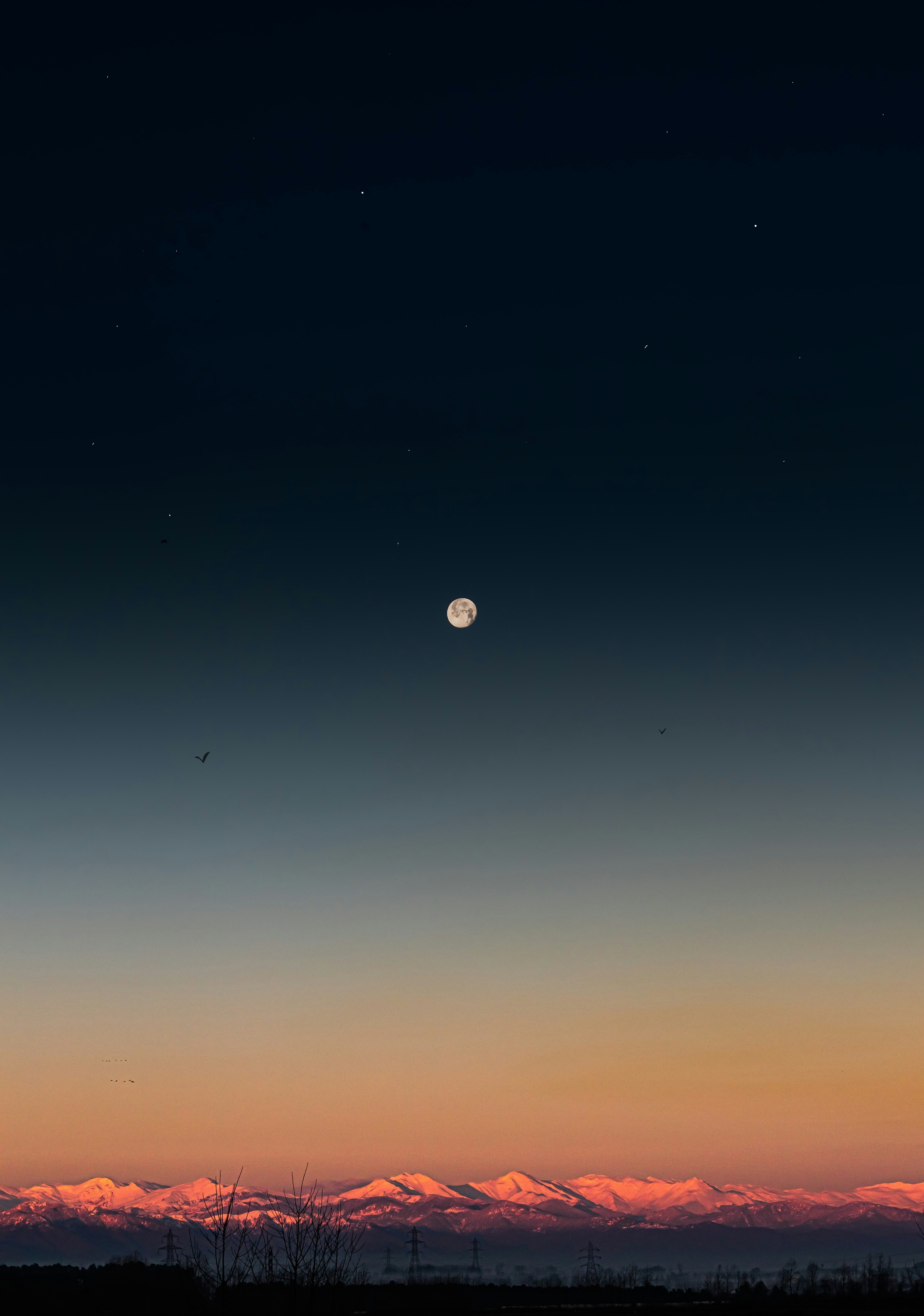 1000+ Moon Sky Pictures | Download Free Images on Unsplash