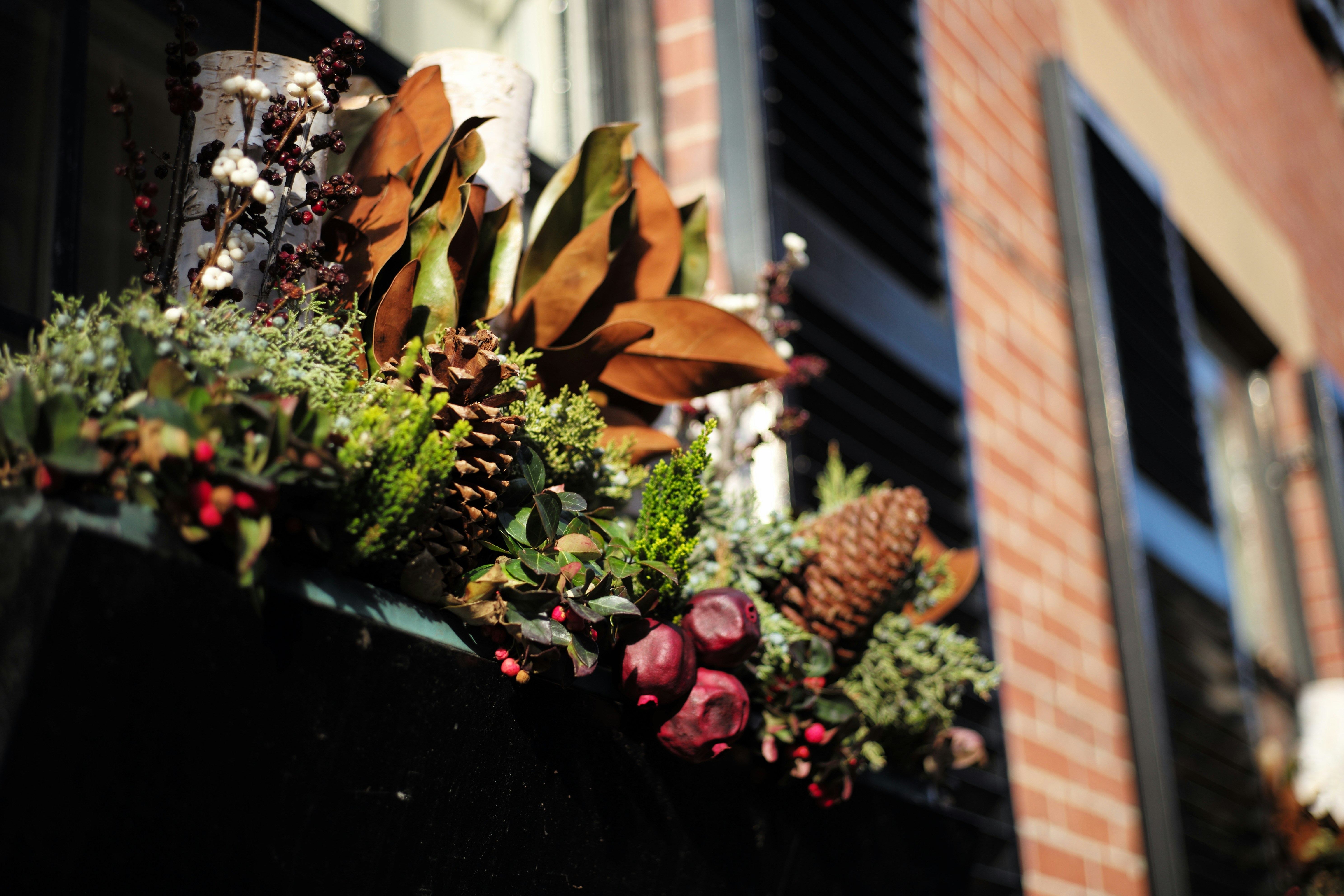 Brick-and-Bloom: An Urban Windowbox of Dried Botanicals