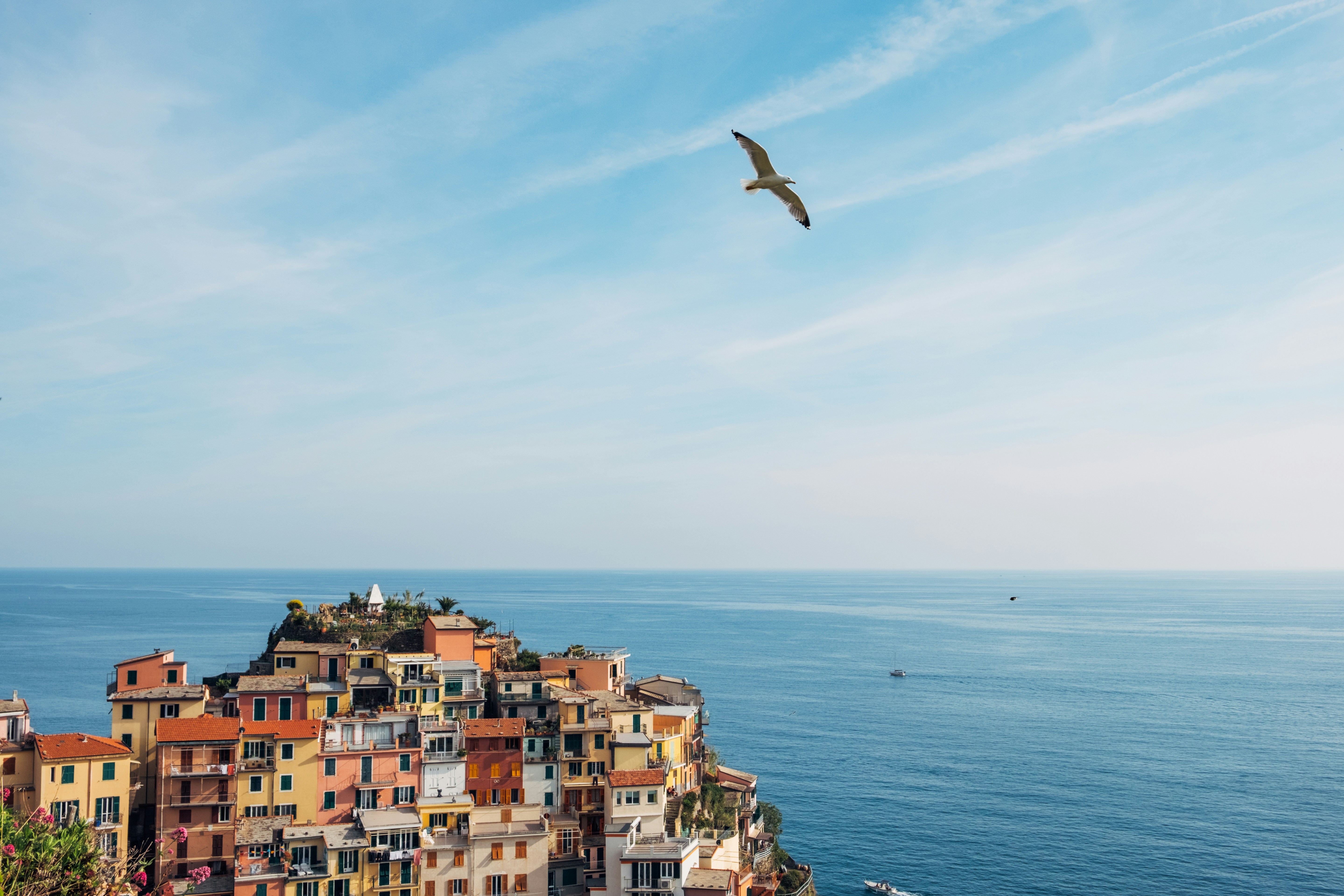 bird on structures on hill